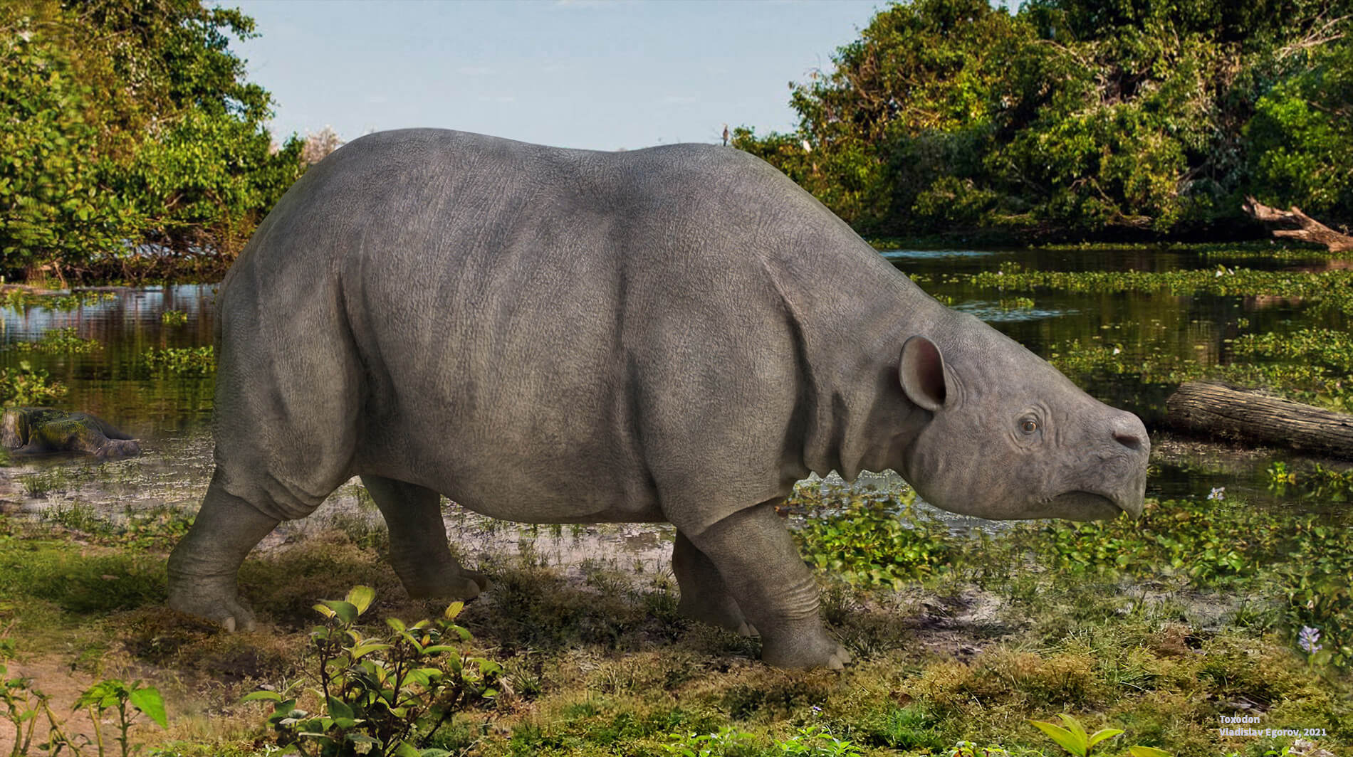 Extinct Animals Pack Version 18 - 3D Model by Anthodon