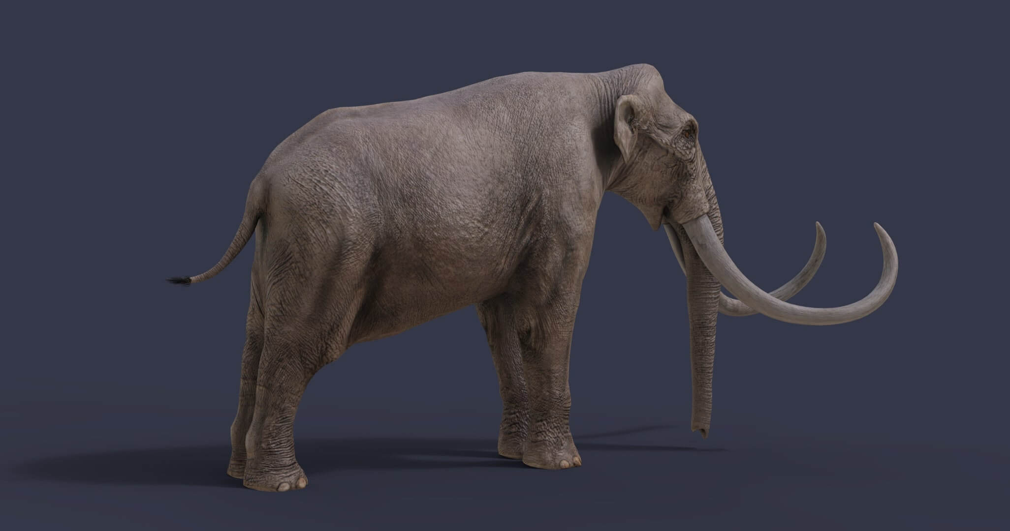 Extinct Animals Pack Version 18 - 3D Model by Anthodon