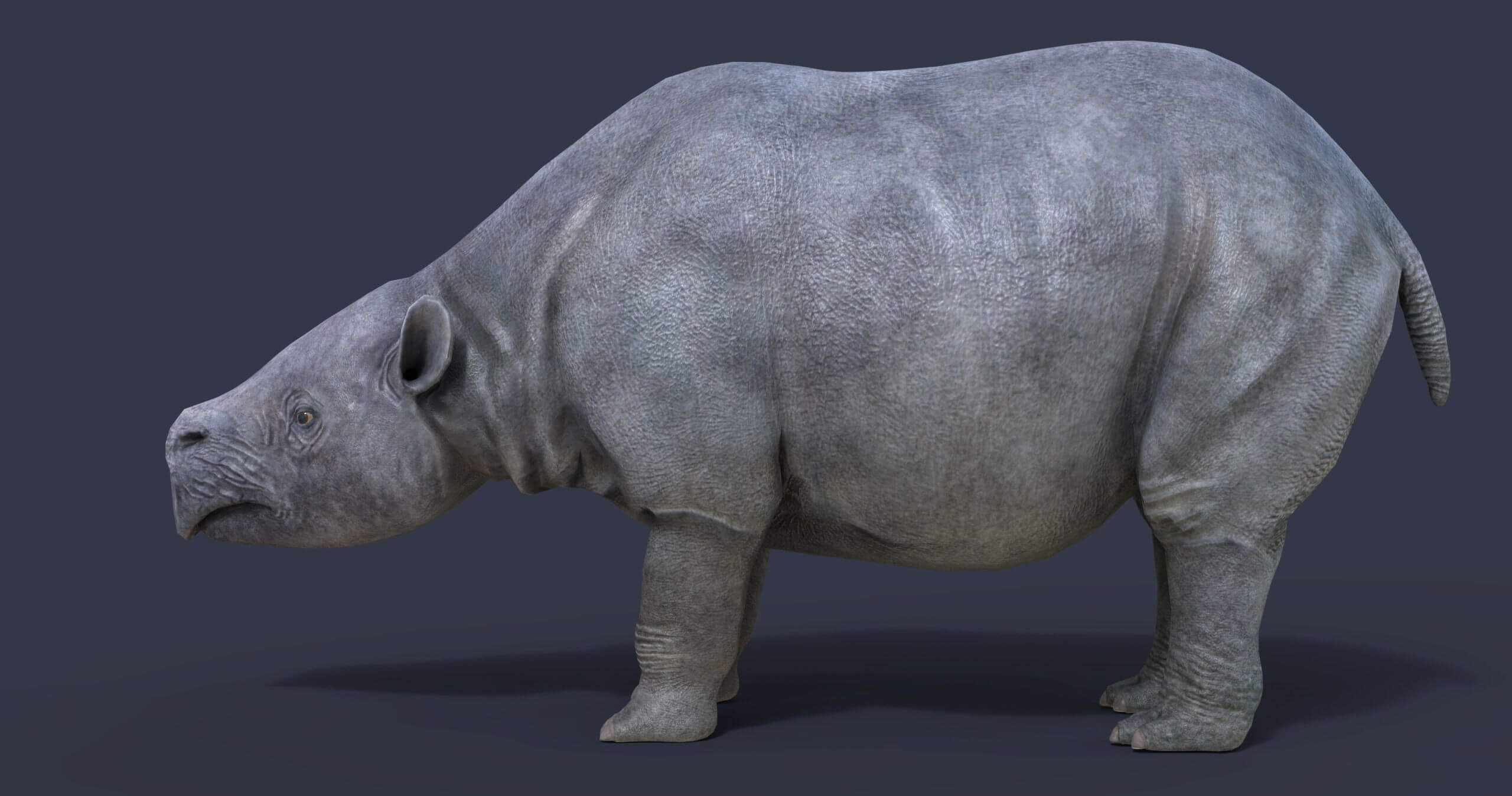 Extinct Animals Pack Version 18 - 3D Model by Anthodon