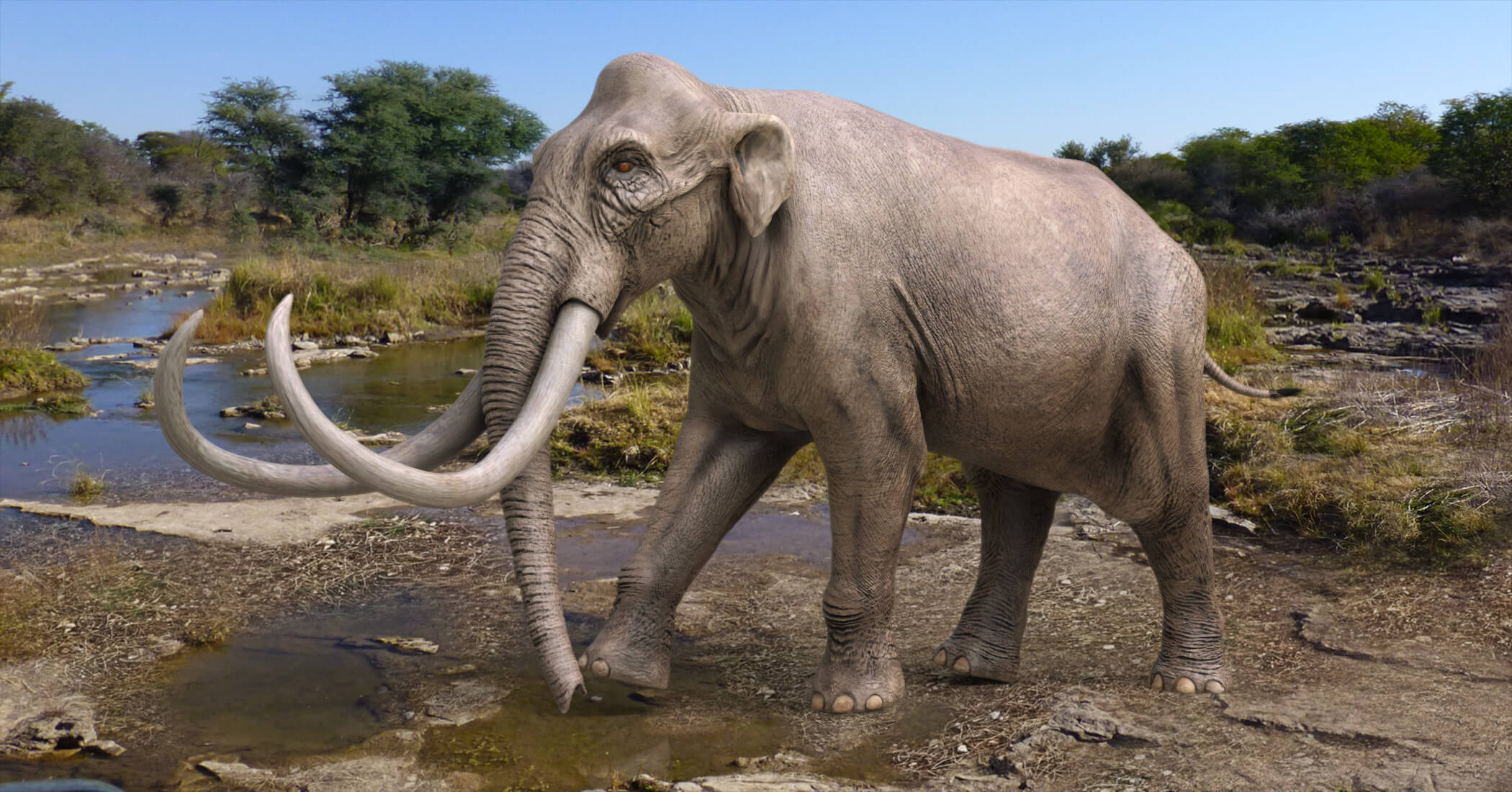 Extinct Animals Pack Version 18 - 3D Model by Anthodon