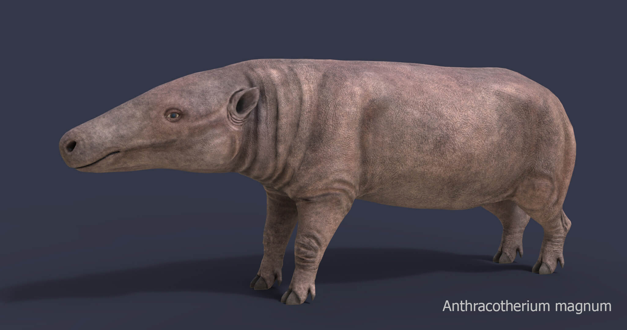 Extinct Animals Pack Version 18 - 3D Model by Anthodon