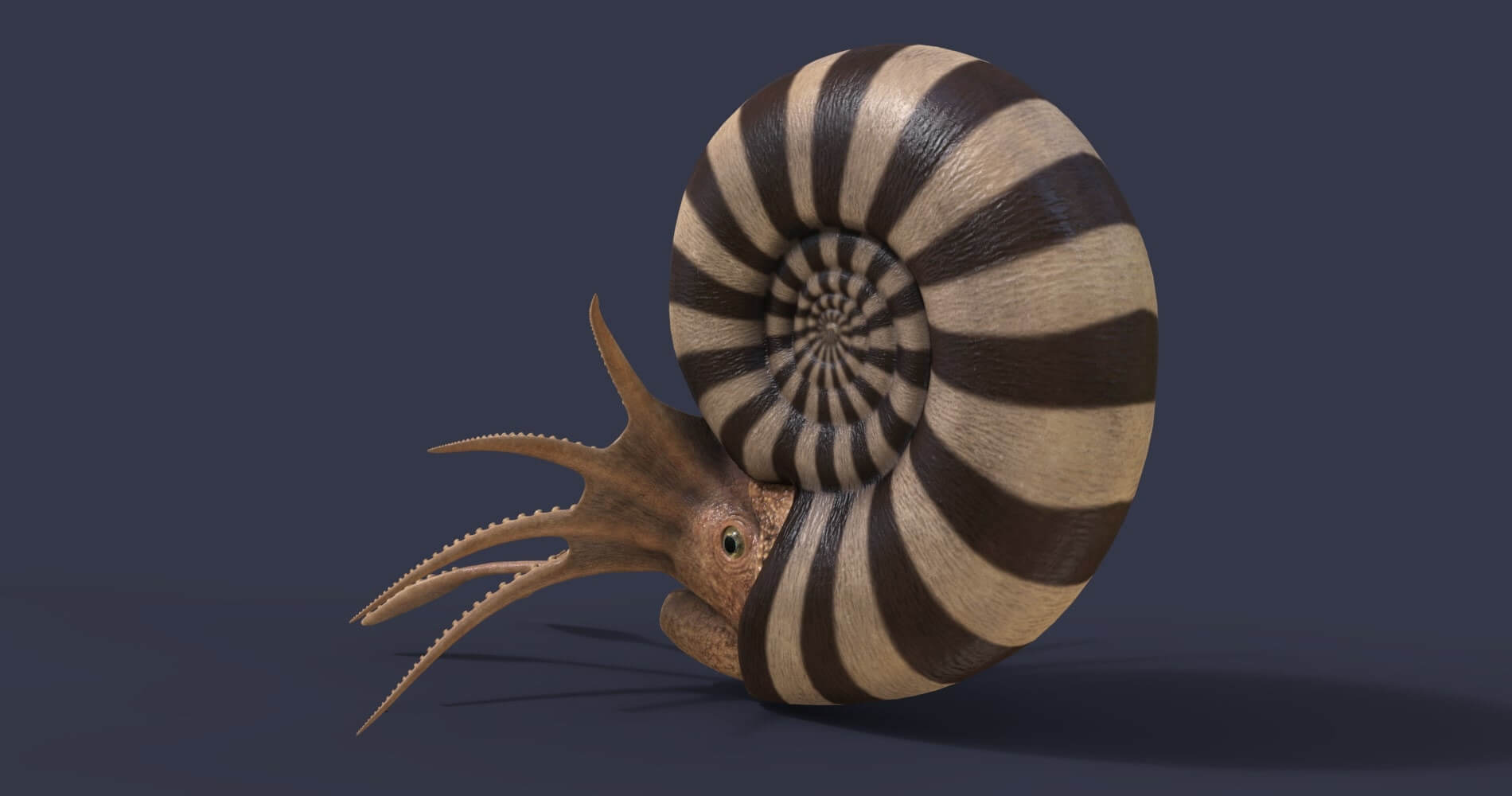 Extinct Animals Pack Version 18 - 3D Model by Anthodon