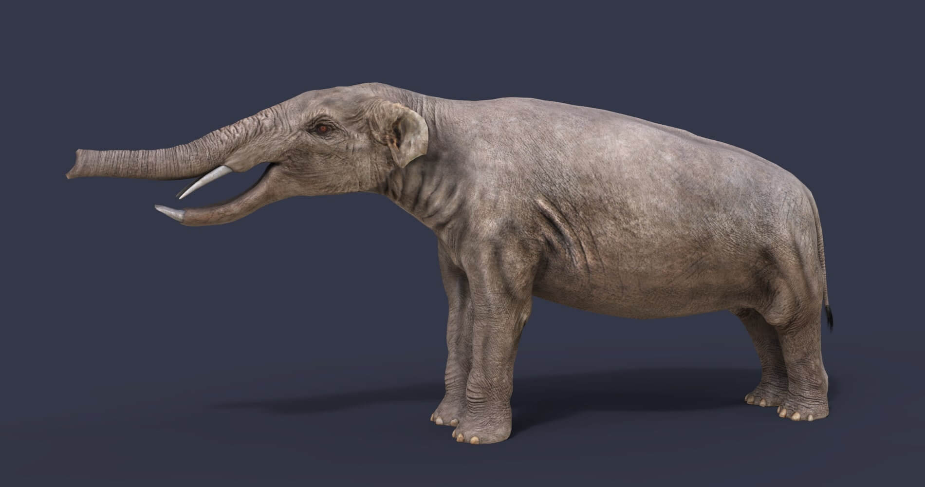 Extinct Animals Pack Version 18 - 3D Model by Anthodon