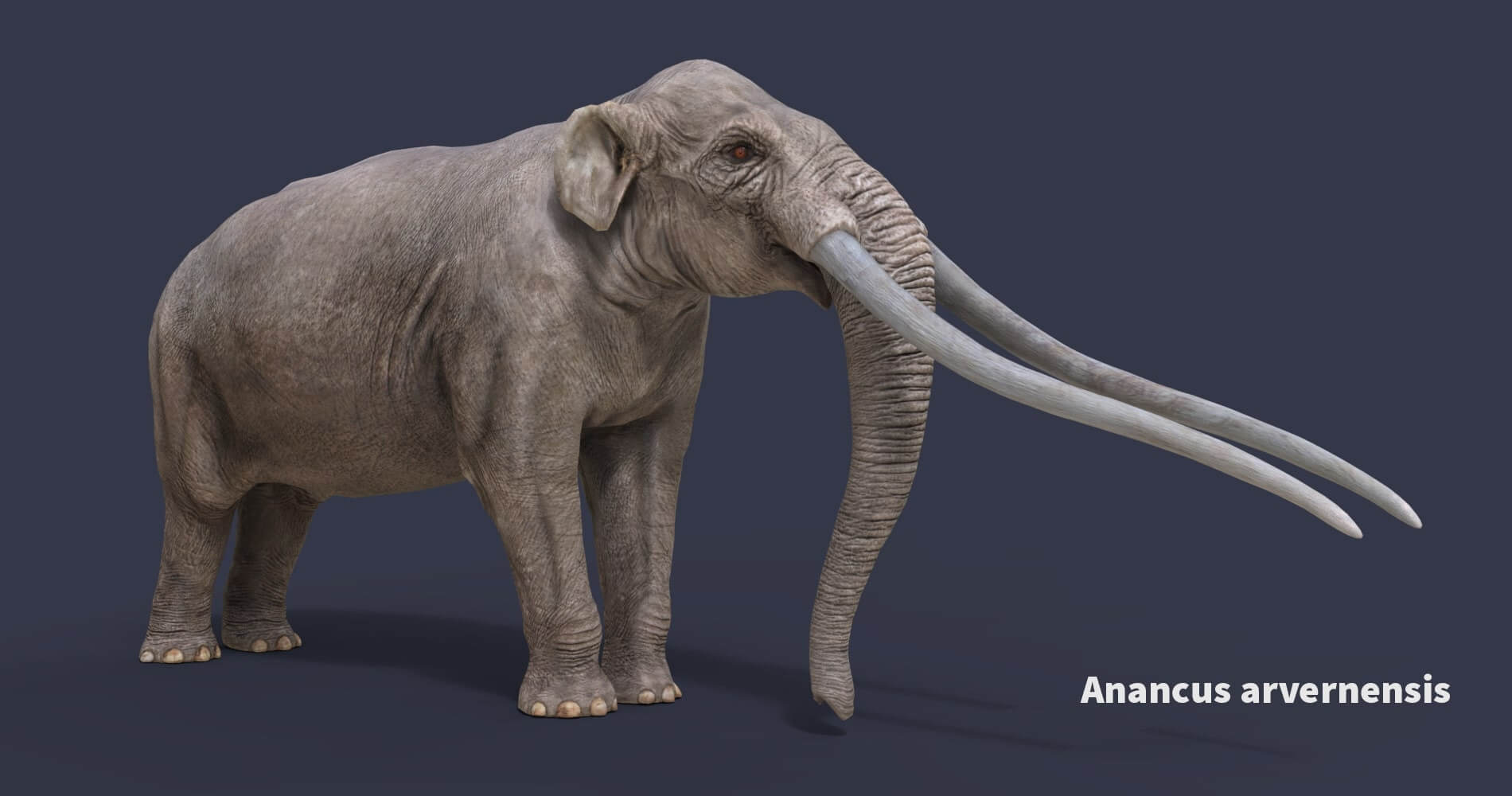 Extinct Animals Pack Version 18 - 3D Model by Anthodon