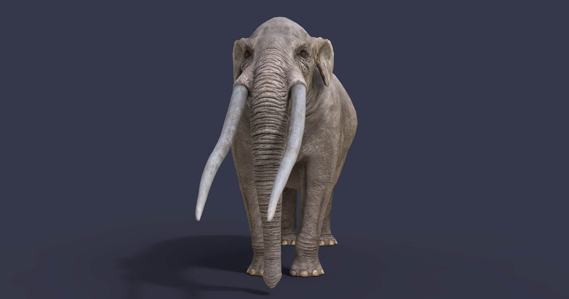 Extinct Animals Pack Version 18 - 3D Model by Anthodon