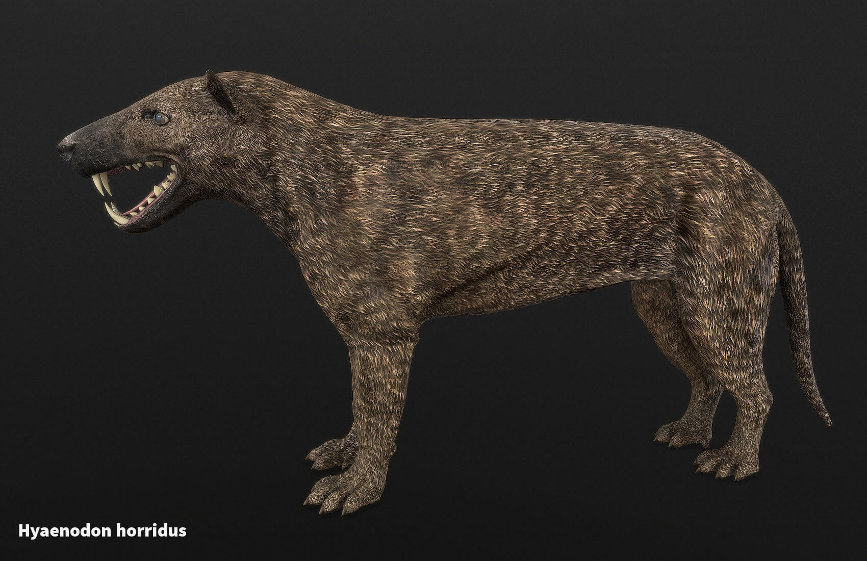 Extinct Animals Pack Version 18 - 3D Model by Anthodon