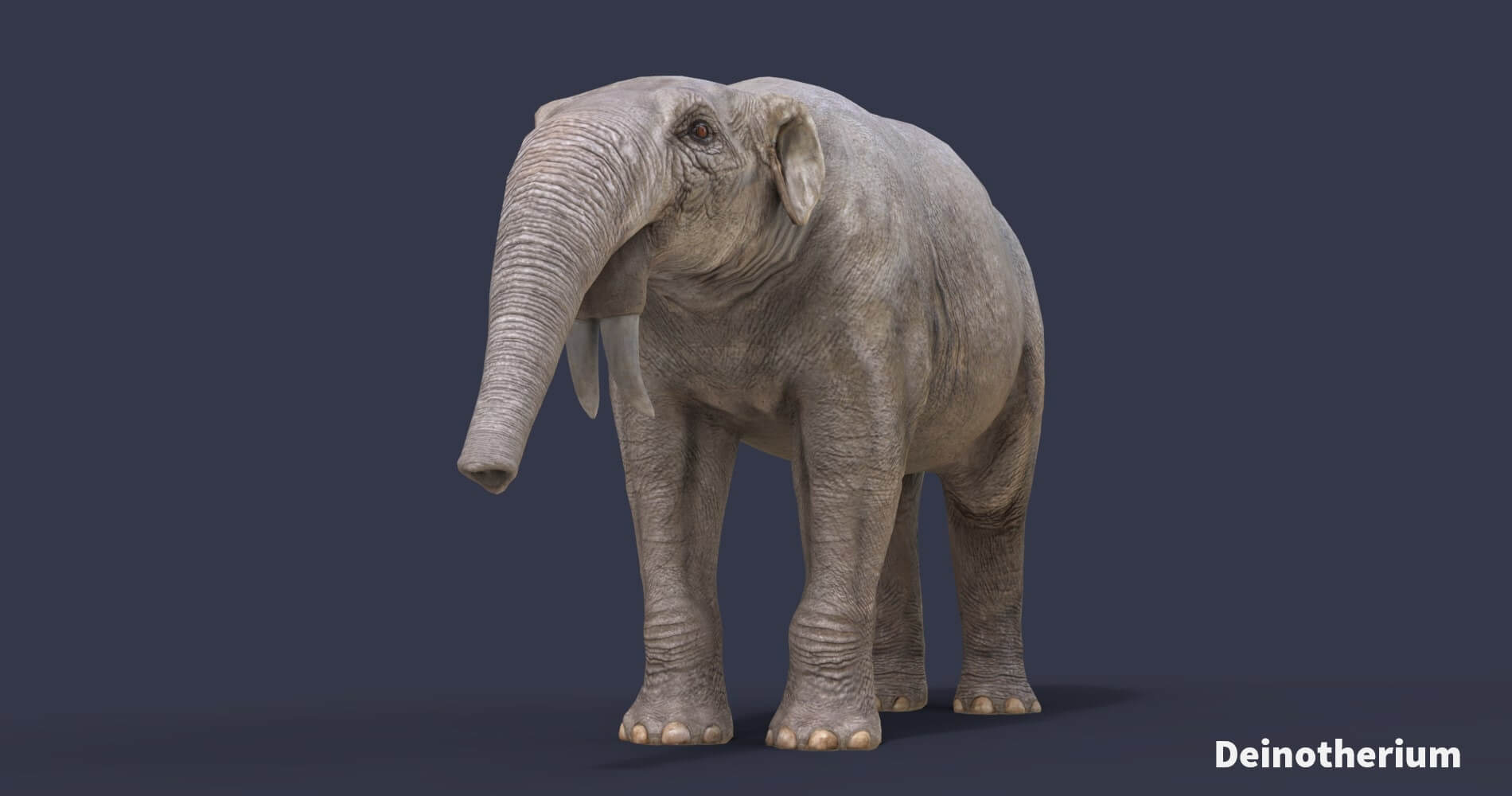 Extinct Animals Pack Version 18 - 3D Model by Anthodon
