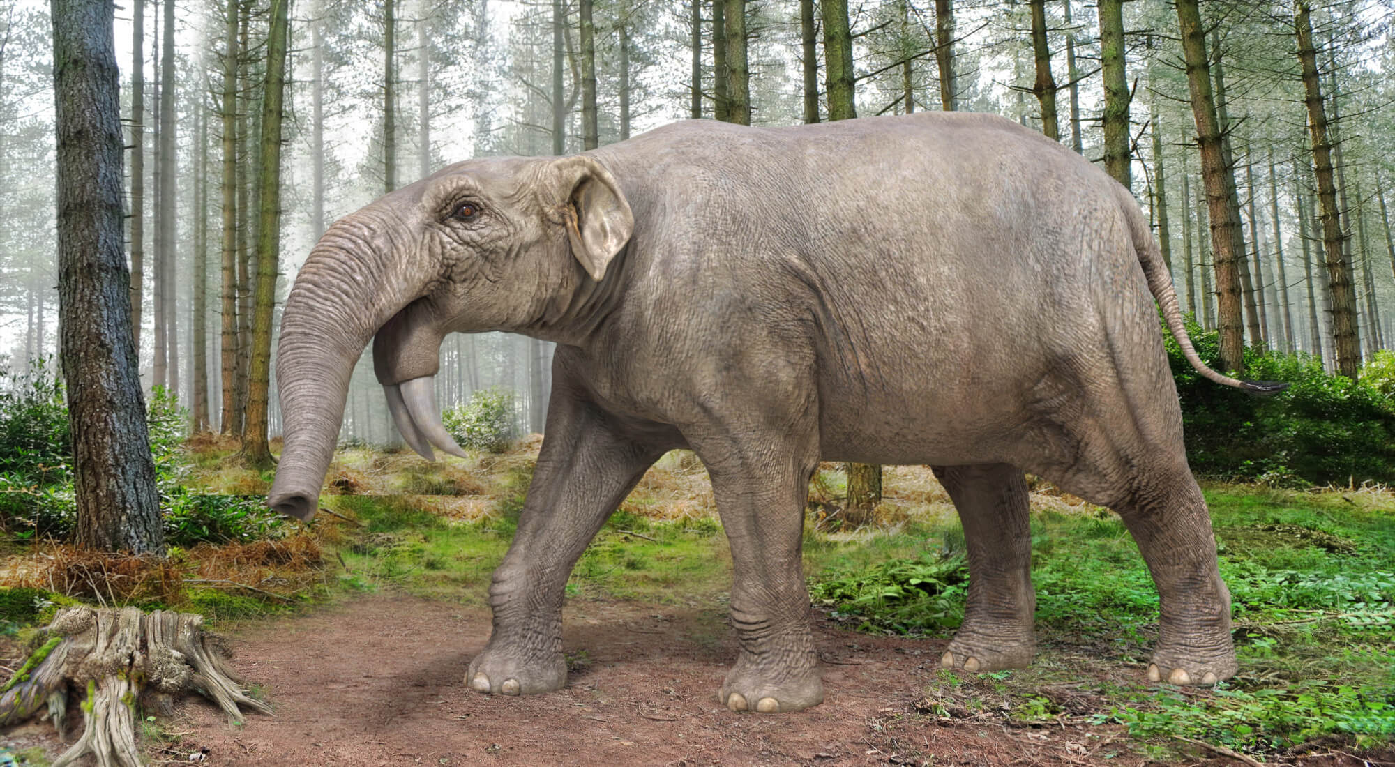 Extinct Animals Pack Version 18 - 3D Model by Anthodon