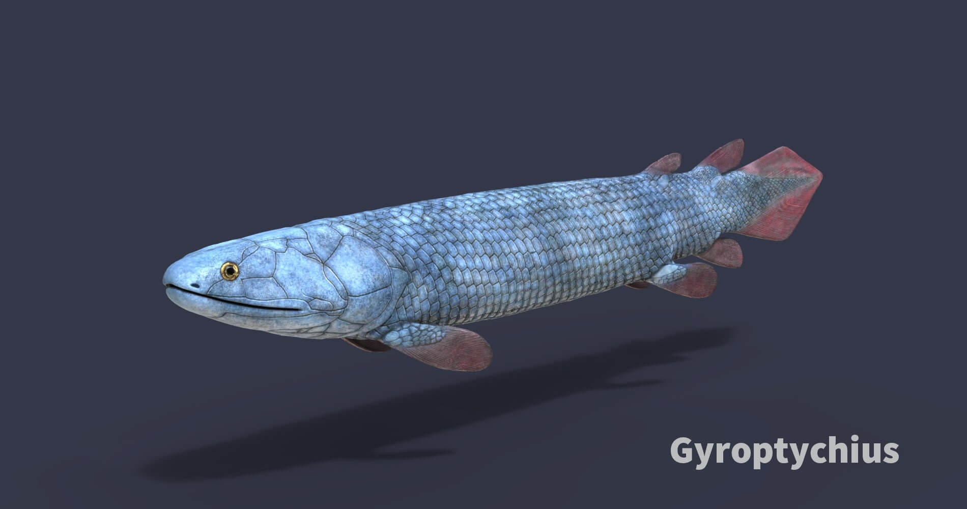 Extinct Animals Pack Version 18 - 3D Model by Anthodon