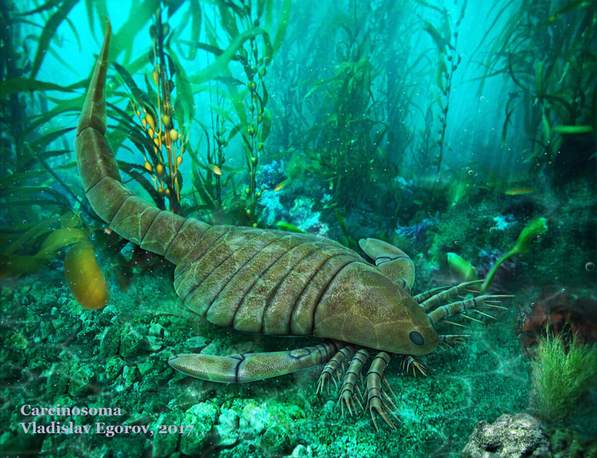 Extinct Animals Pack Version 18 - 3D Model by Anthodon