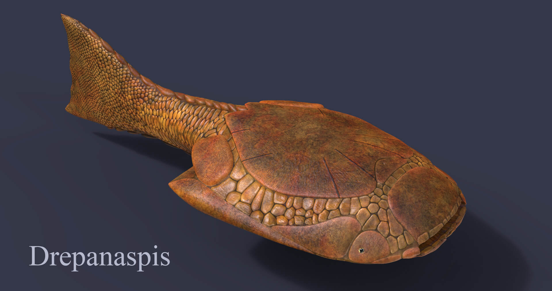 Extinct Animals Pack Version 18 - 3D Model by Anthodon