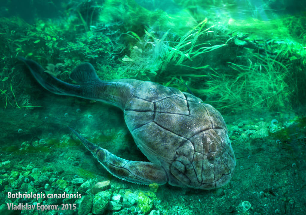 Bothriolepis canadensis 3D Render, Digital Art by Anthodon