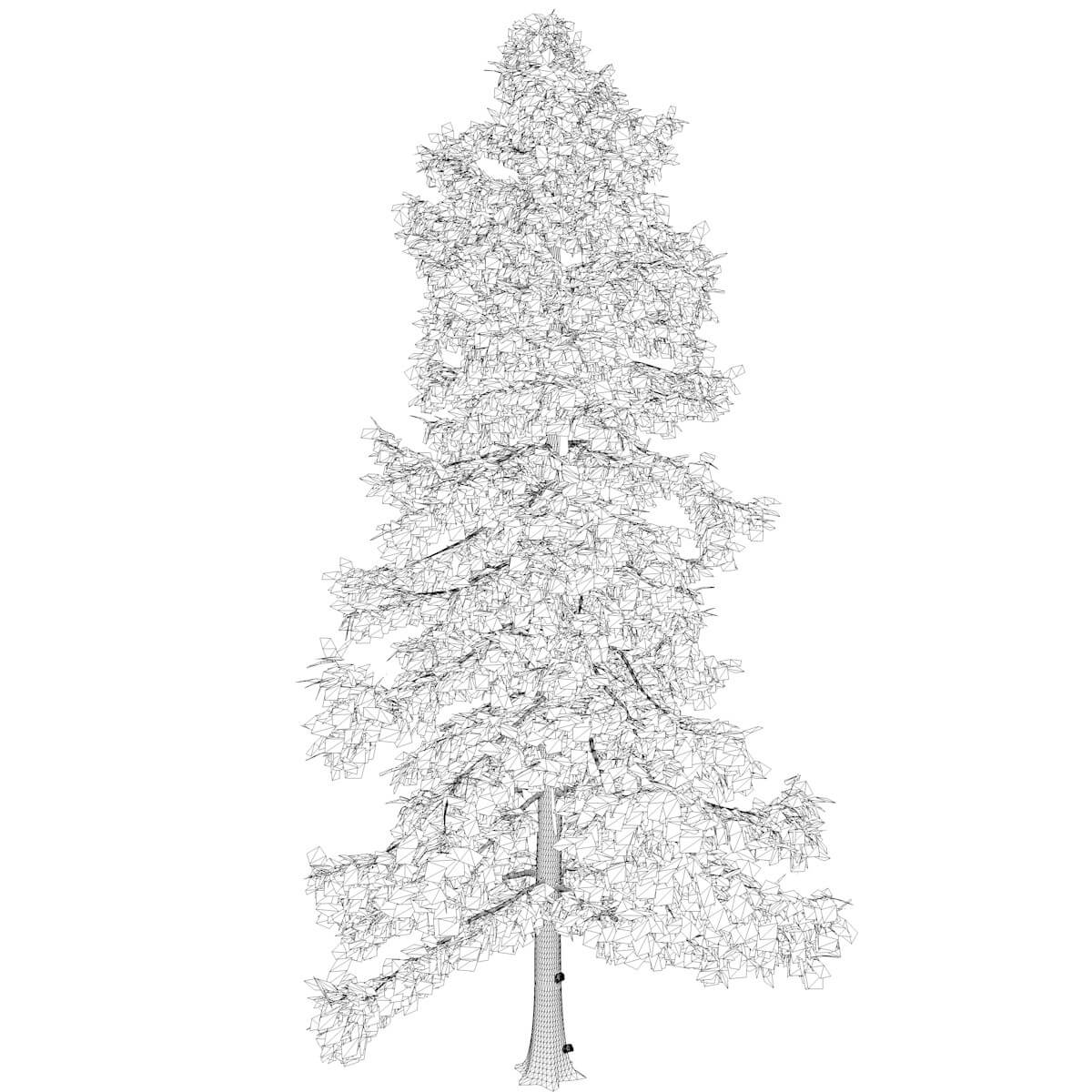 Alaska Cedar Tree #09 - 3D Model by AntonioKowatsch