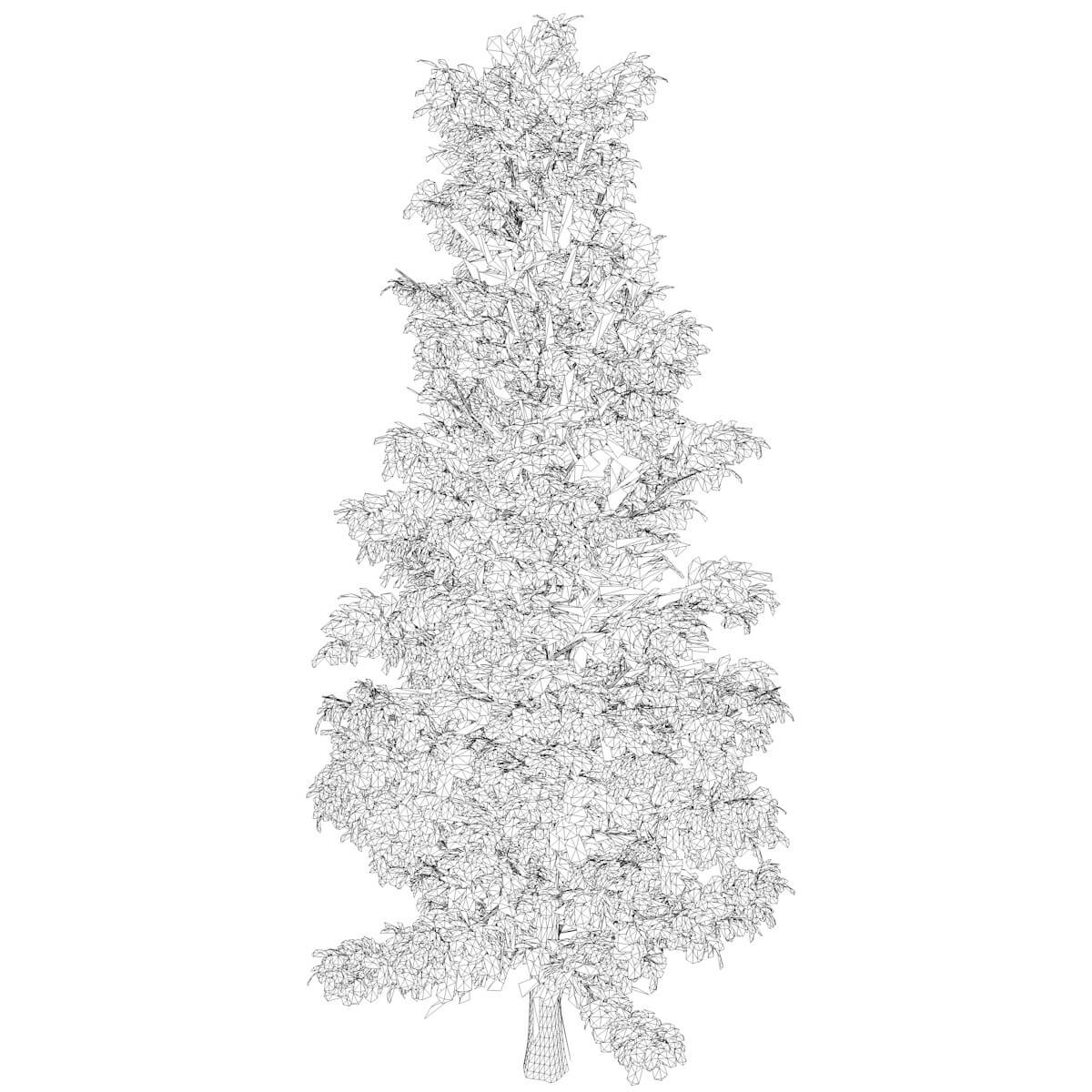 American Holly Tree Collection by AntonioKowatsch