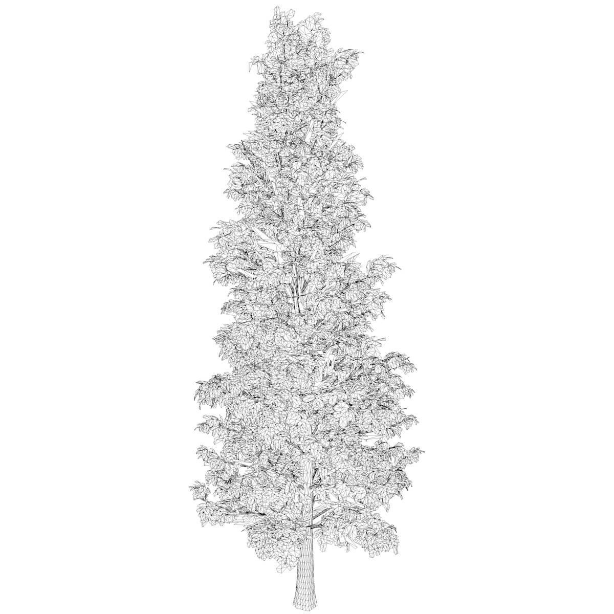 American Holly Tree Collection by AntonioKowatsch