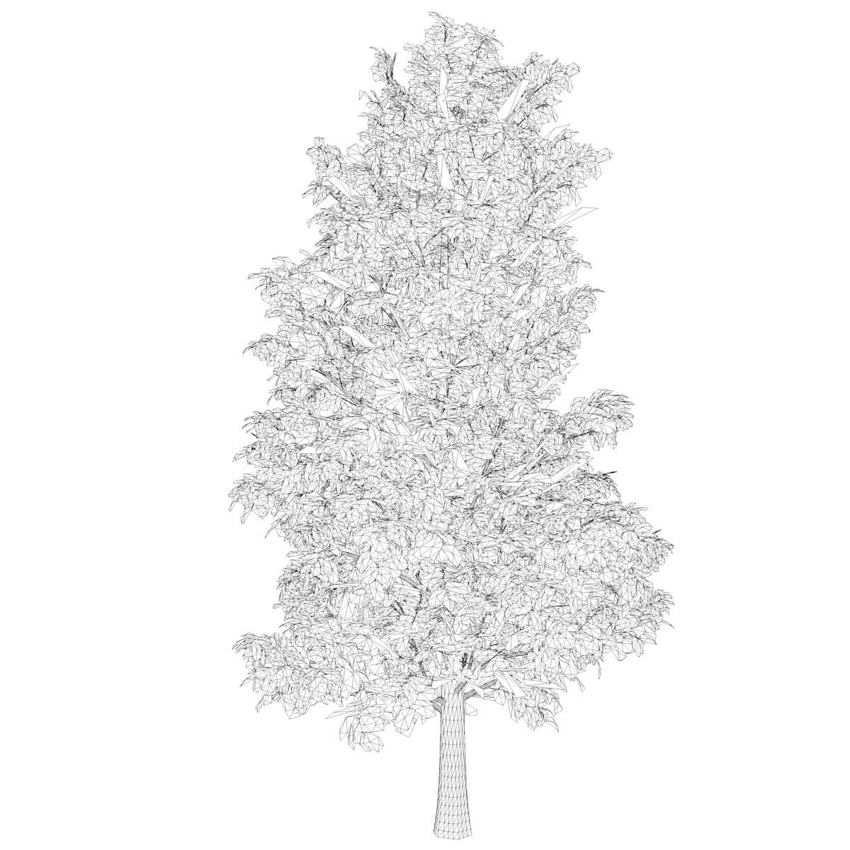 American Holly Tree #09 - 3D Model by AntonioKowatsch