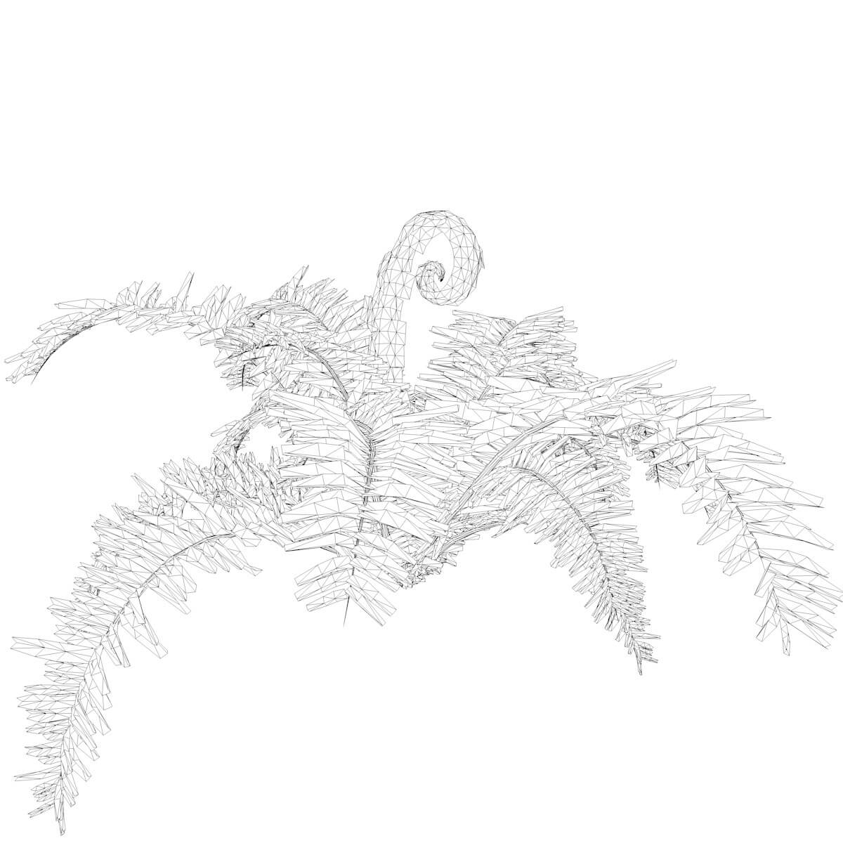 Boston Fern Plant Collection by AntonioKowatsch