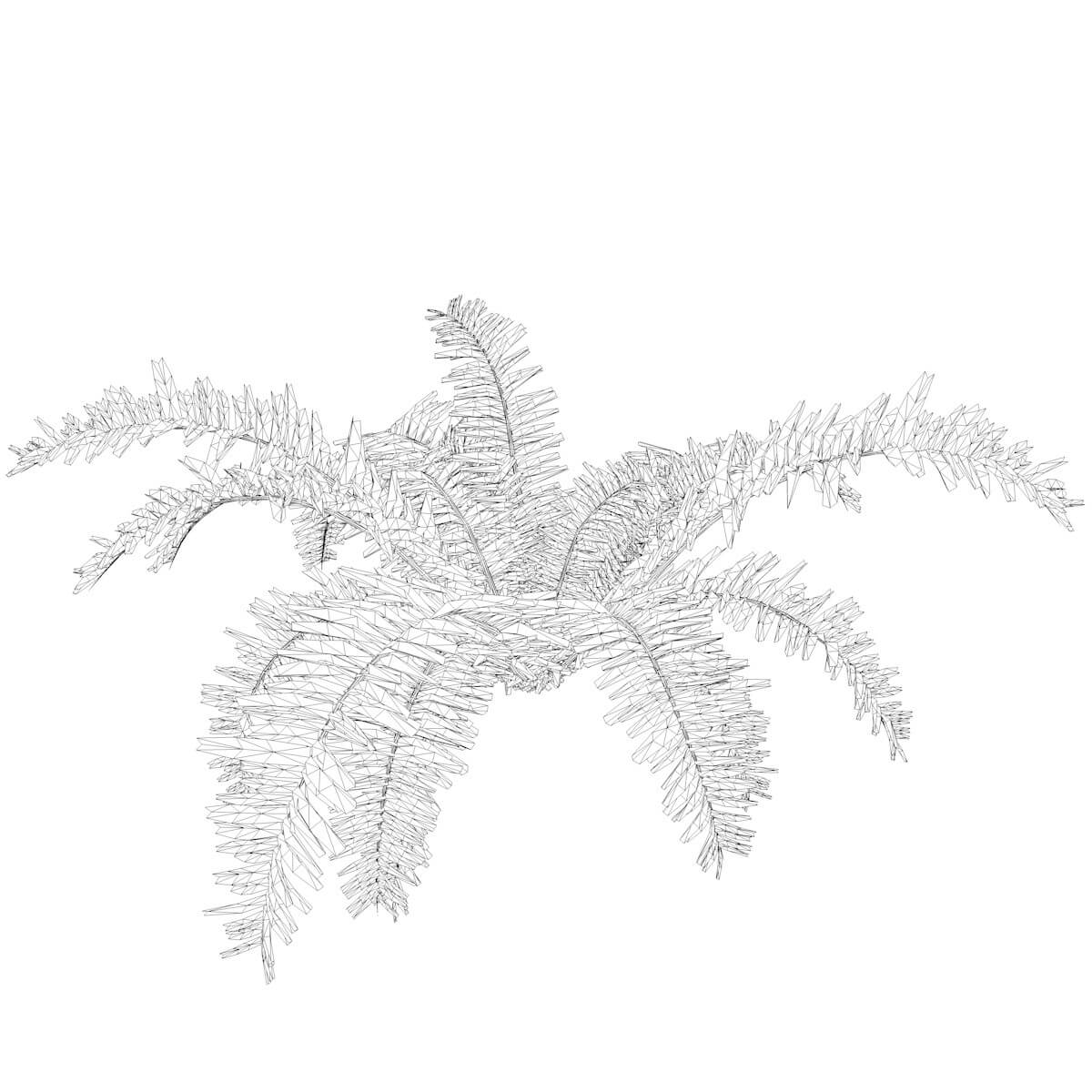 Boston Fern Plant #10 - 3D Model by AntonioKowatsch