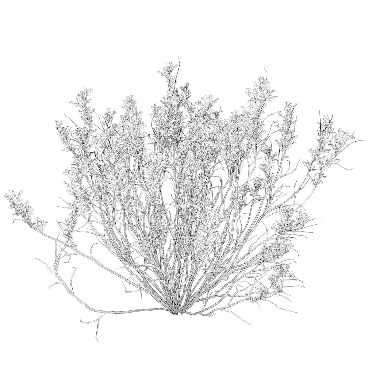 Broom Snakeweed With Flowers Plant Collection by AntonioKowatsch