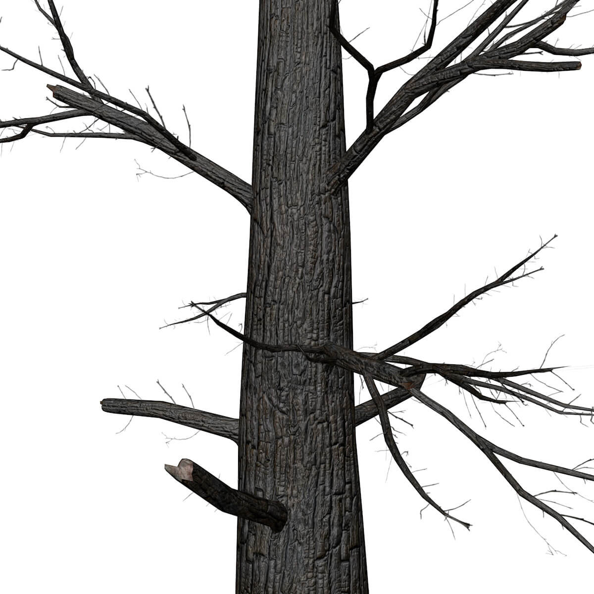 Burnt Tree #02 - 3D Model by AntonioKowatsch