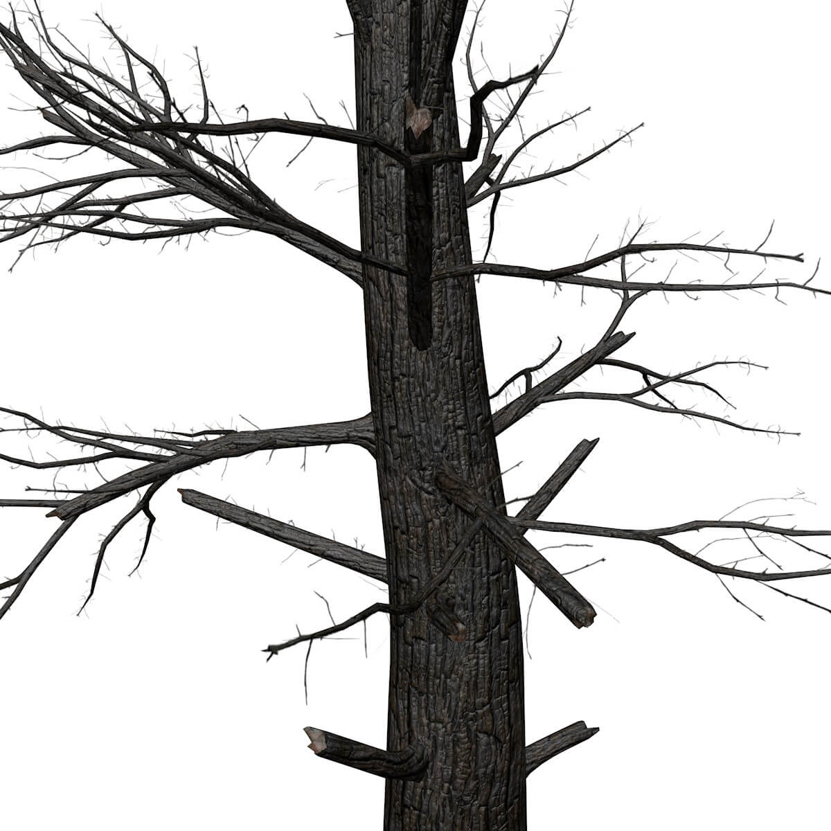 Burnt Tree #05 - 3D Model by AntonioKowatsch