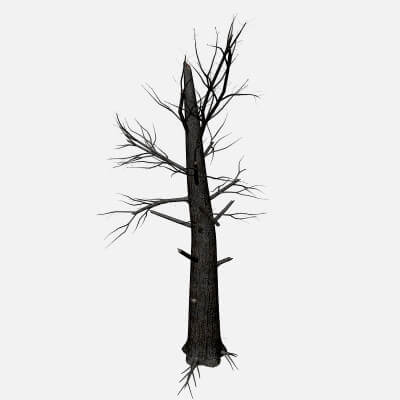 Burnt Tree #05 - 3D Model by AntonioKowatsch