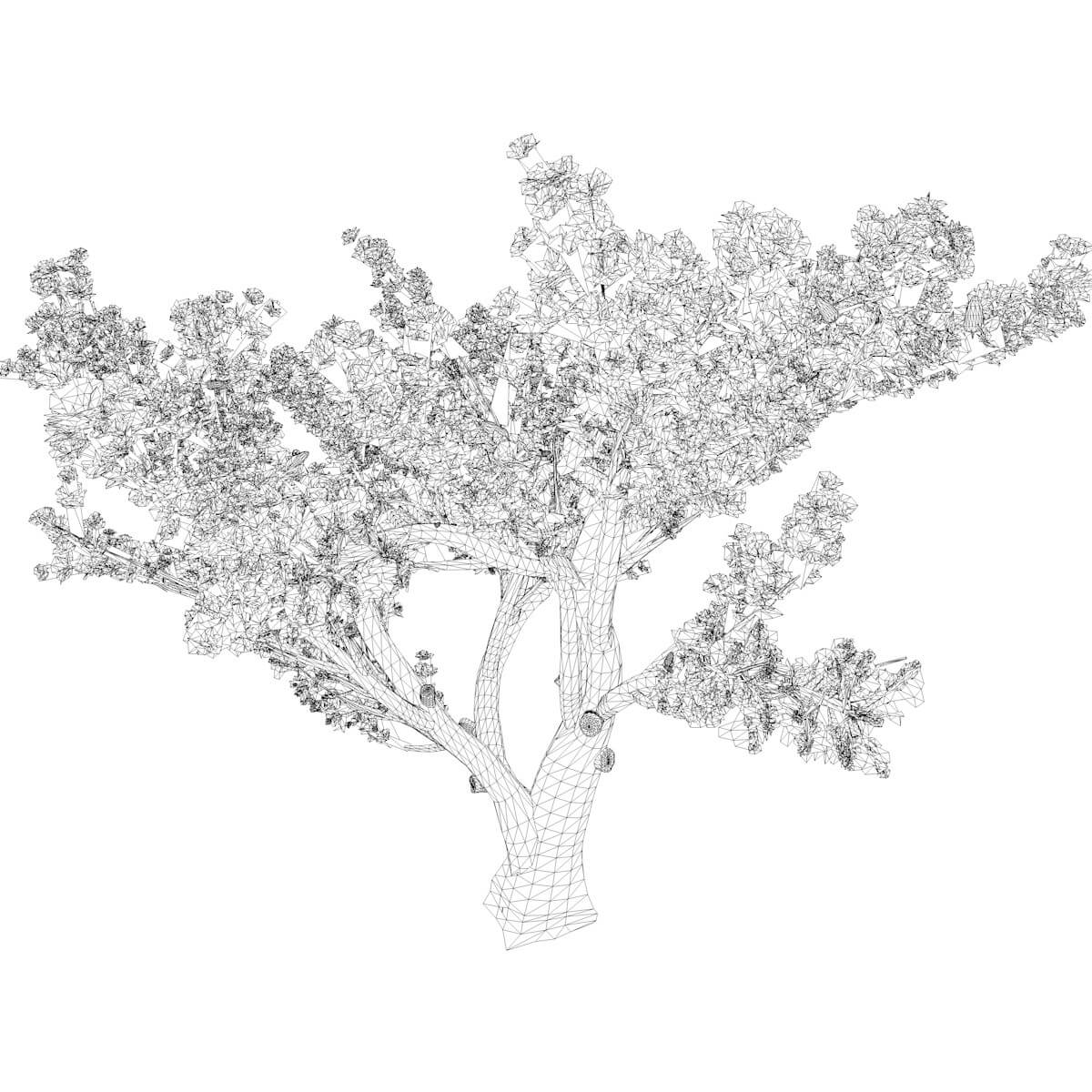Cedar of Lebanon Tree #01 - 3D Model by AntonioKowatsch