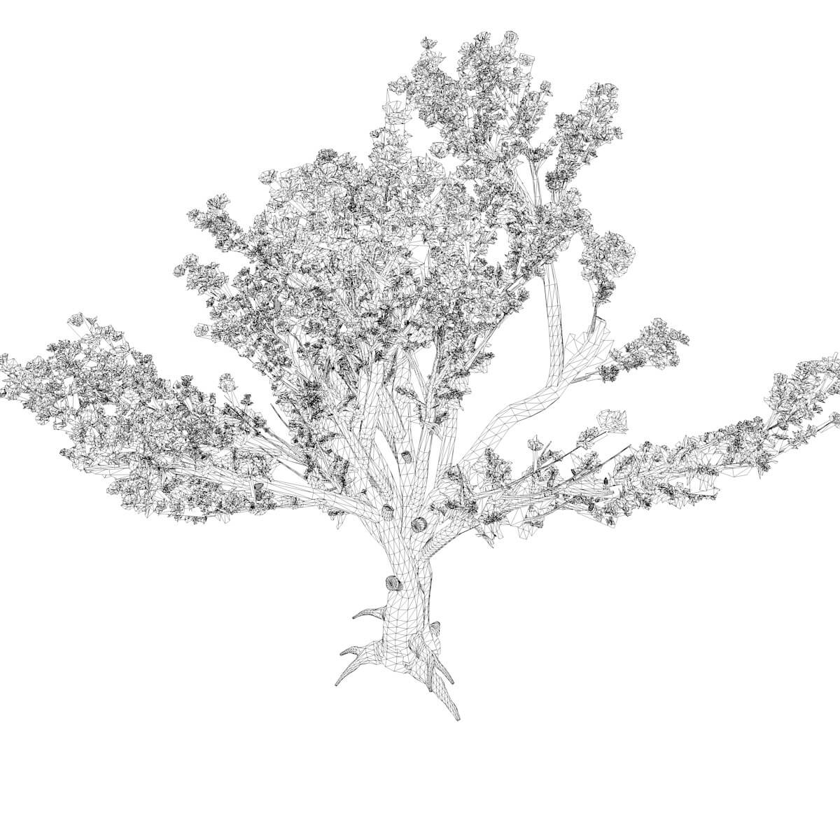 Cedar of Lebanon Tree #02 - 3D Model by AntonioKowatsch