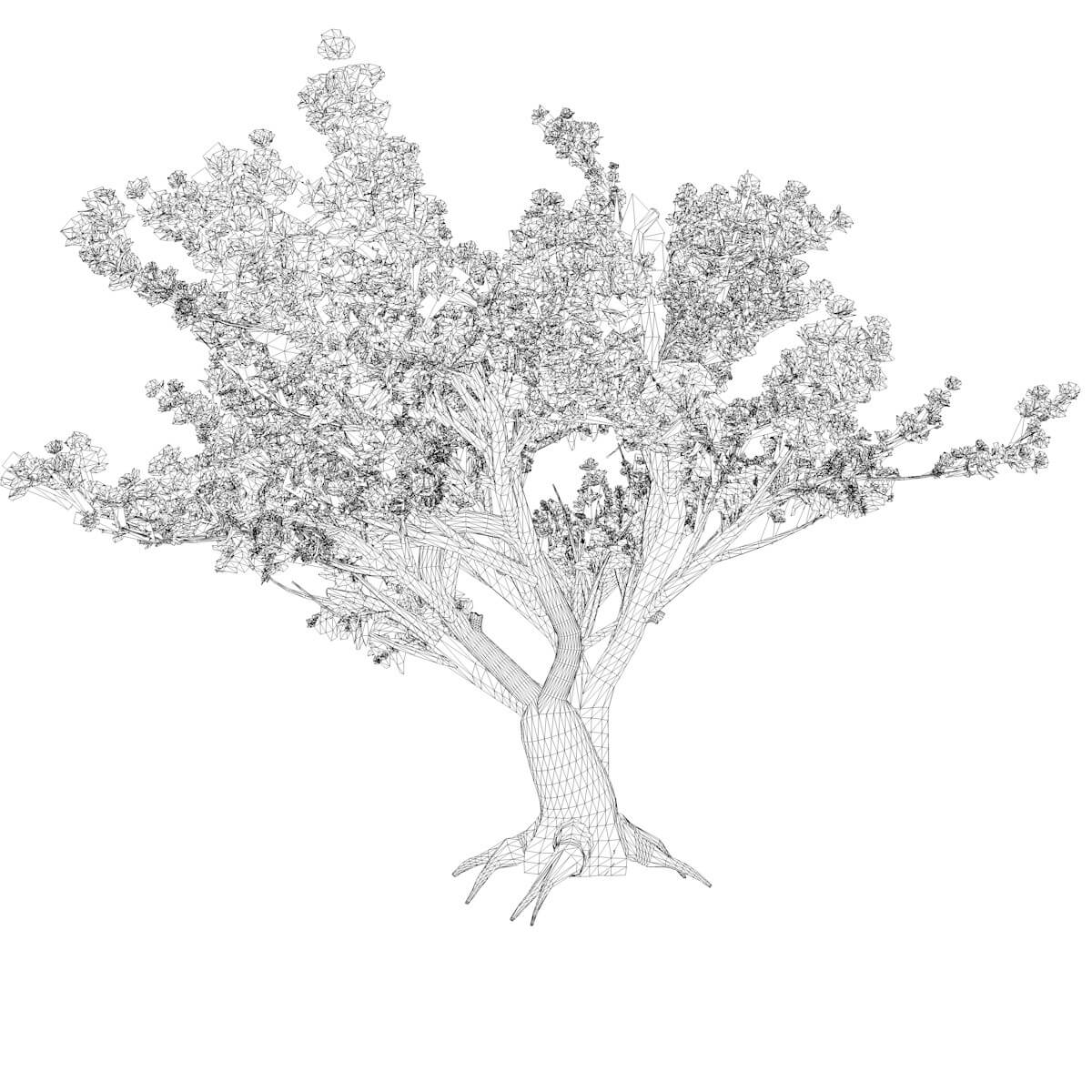 Cedar of Lebanon Tree #05 - 3D Model by AntonioKowatsch