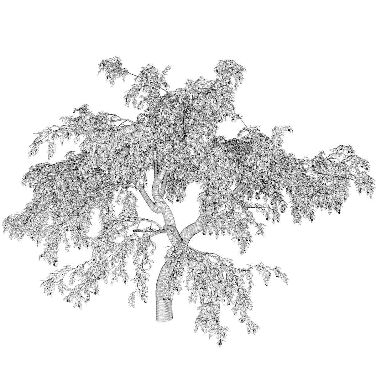 Cherry Tree Collection by AntonioKowatsch