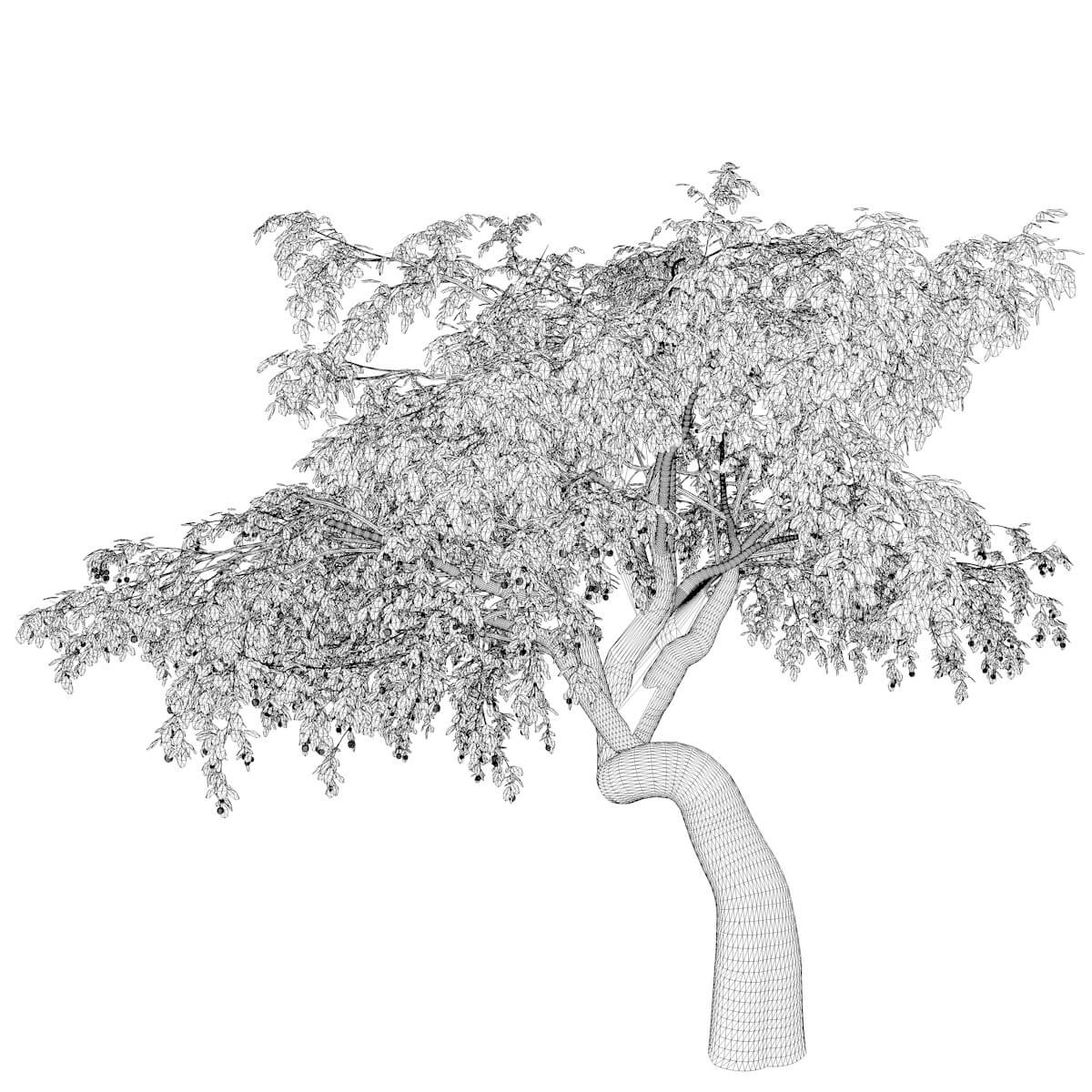 Cherry Tree #04 - 3D Model by AntonioKowatsch