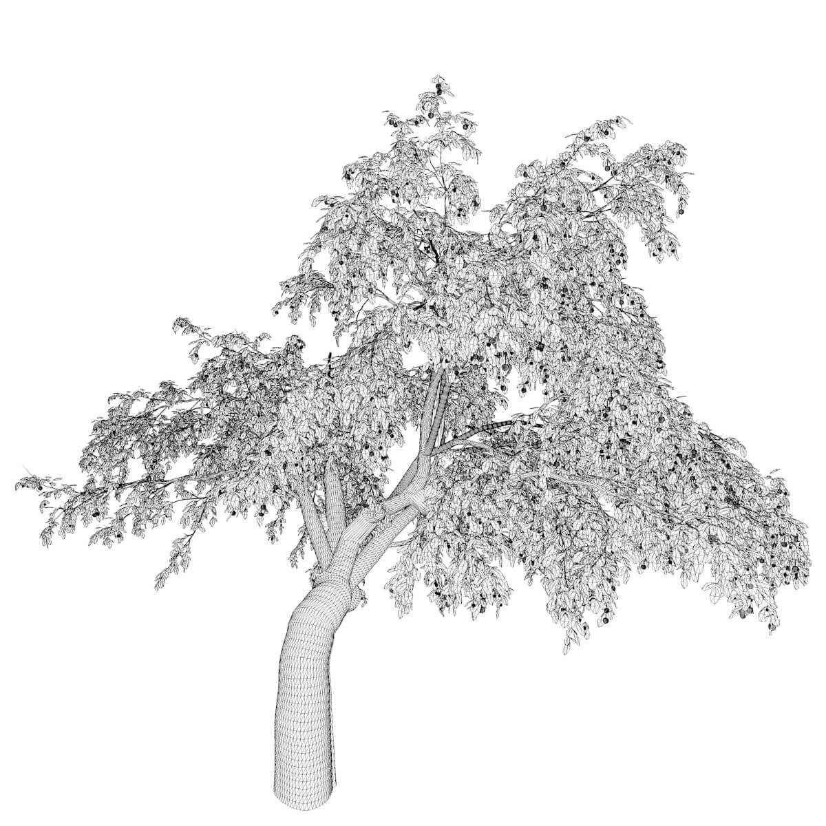 Cherry Tree #06 - 3D Model by AntonioKowatsch