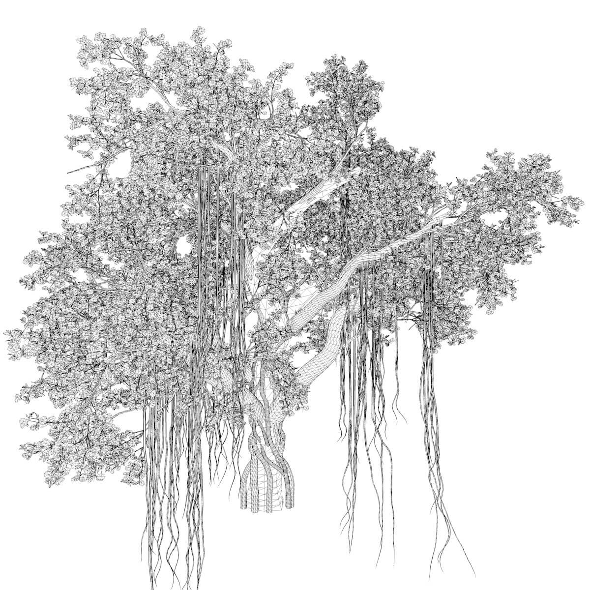 Chinese Banyan Tree #04 - 3D Model by AntonioKowatsch