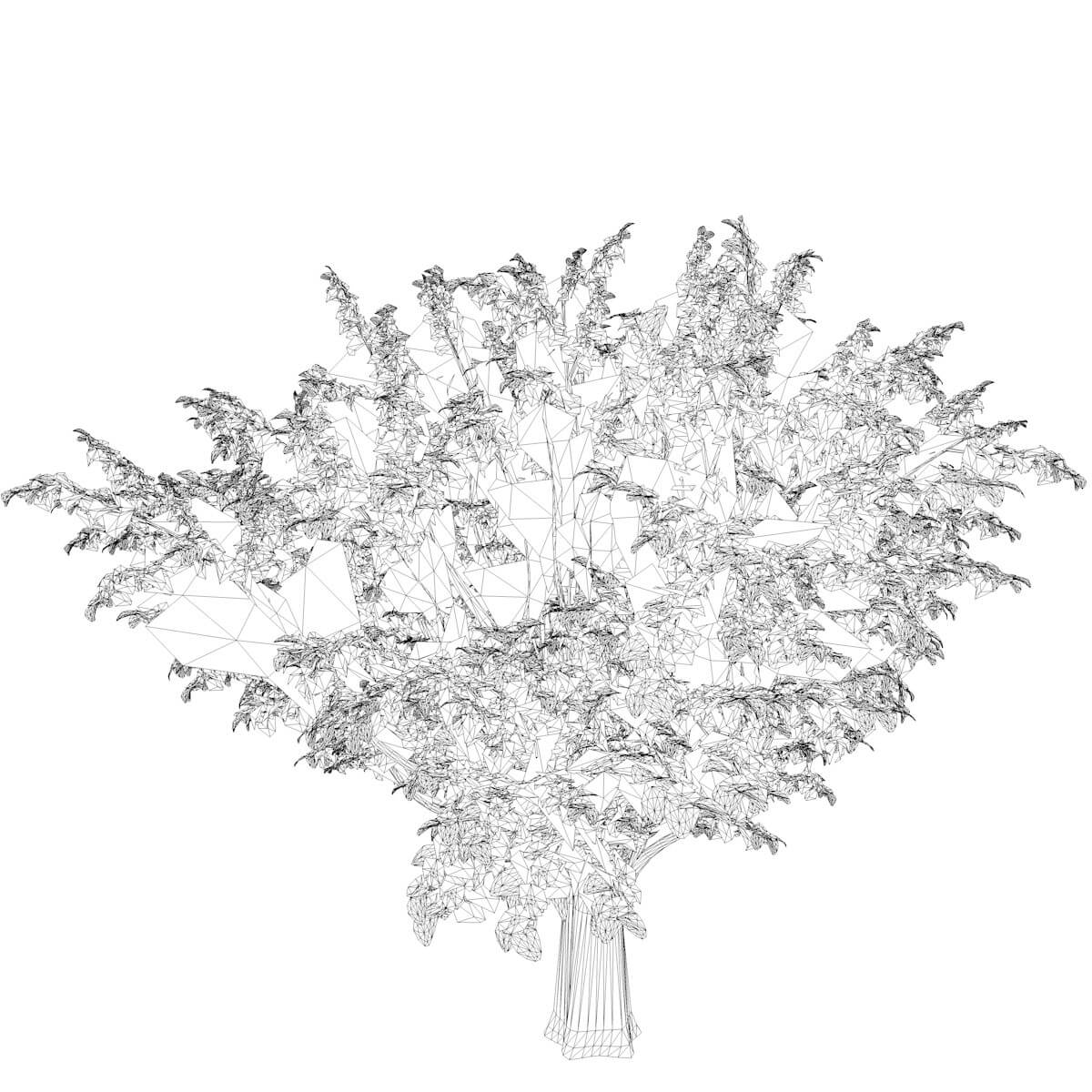 Common Hawthorn Plant #04 - 3D Model by AntonioKowatsch