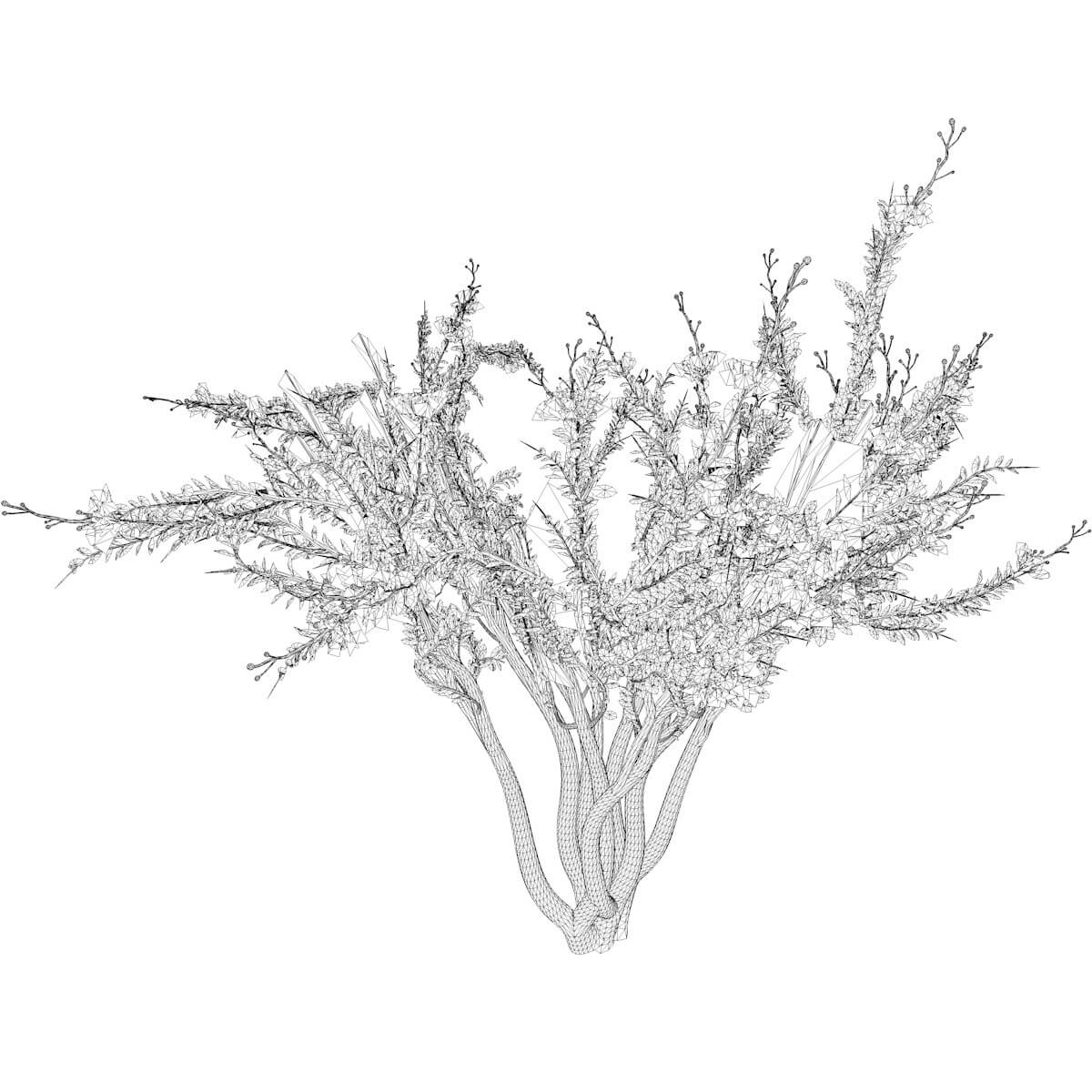 Crape Myrtle Tree #02 - 3D Model by AntonioKowatsch