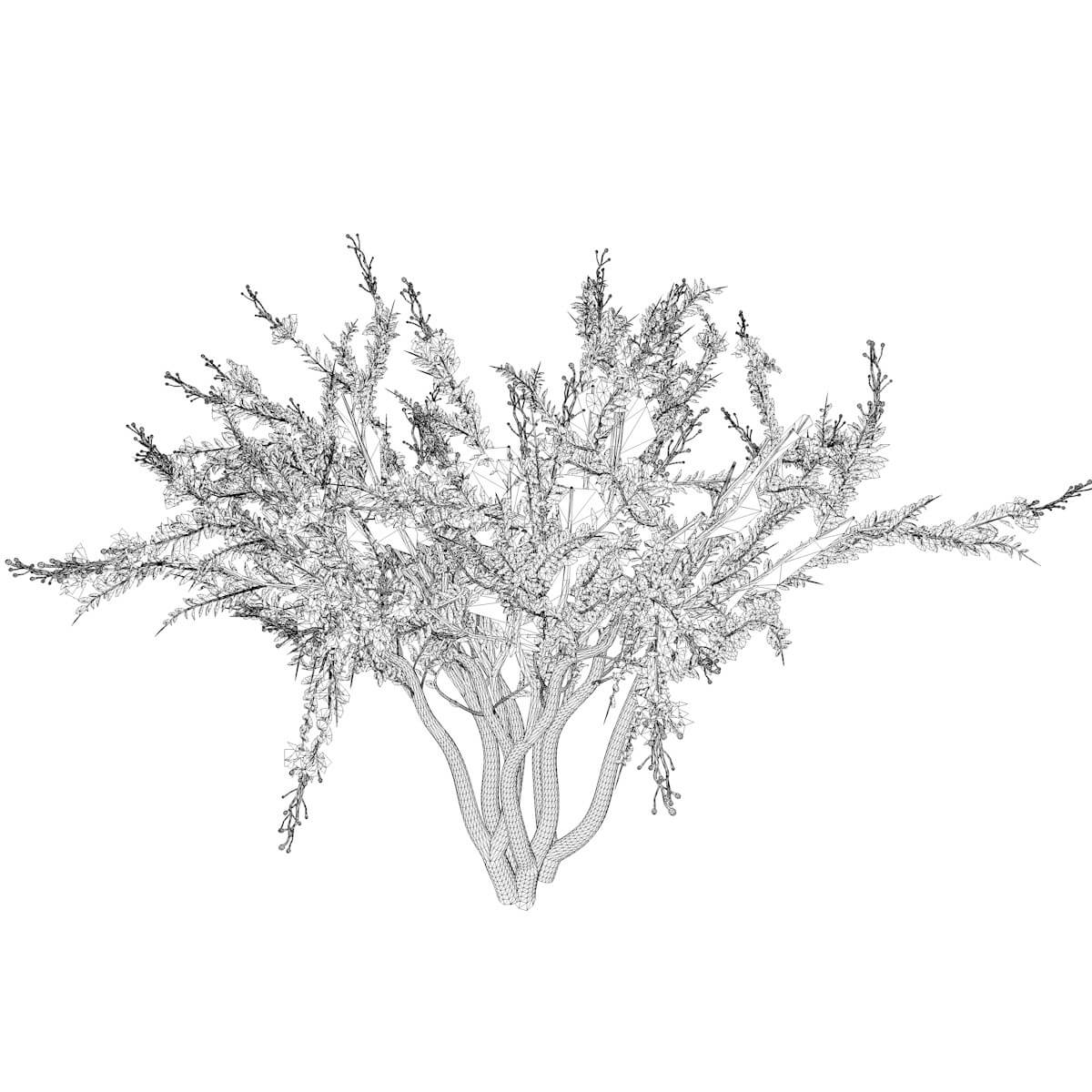 Crape Myrtle Tree #03 - 3D Model by AntonioKowatsch