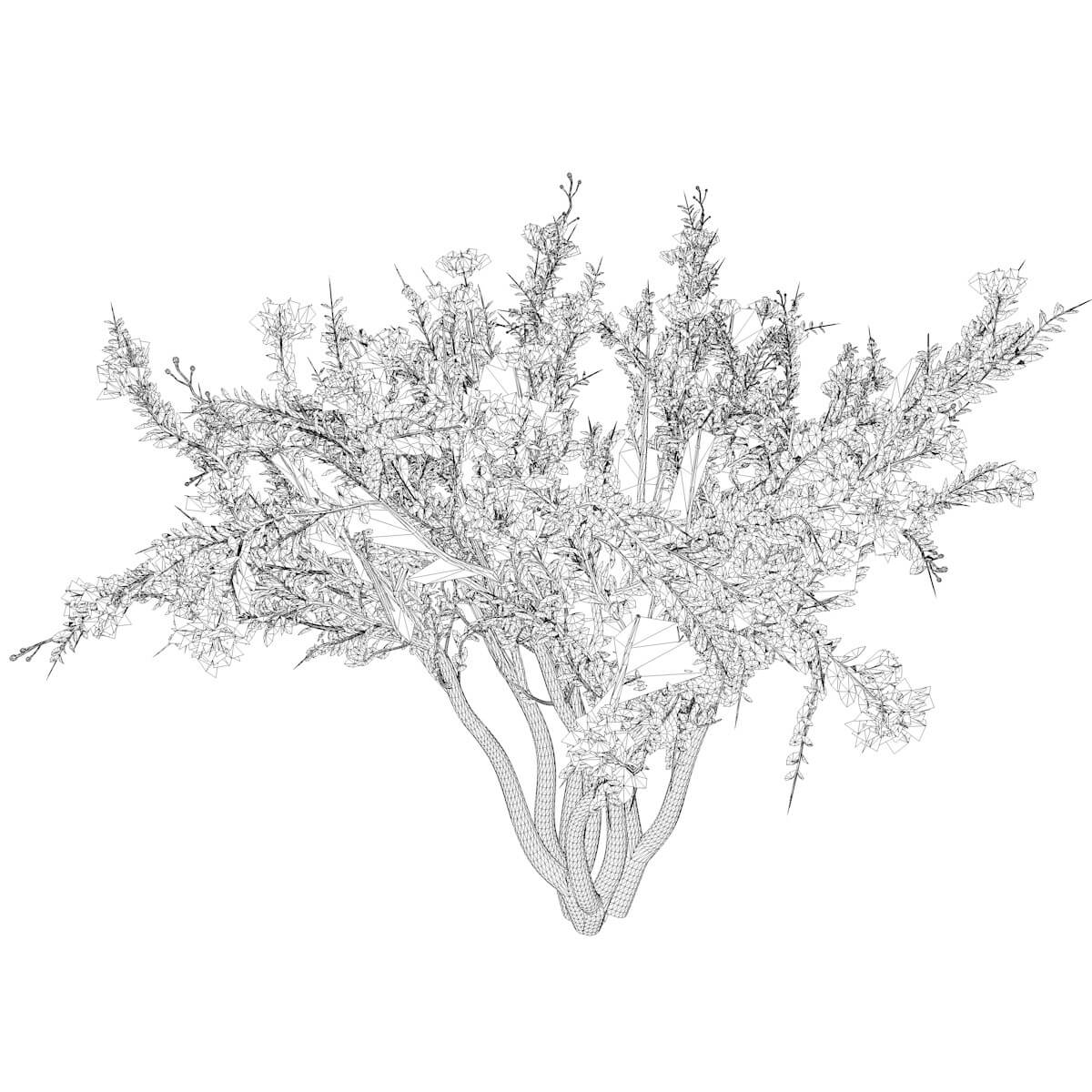 Crape Myrtle Tree #08 - 3D Model by AntonioKowatsch