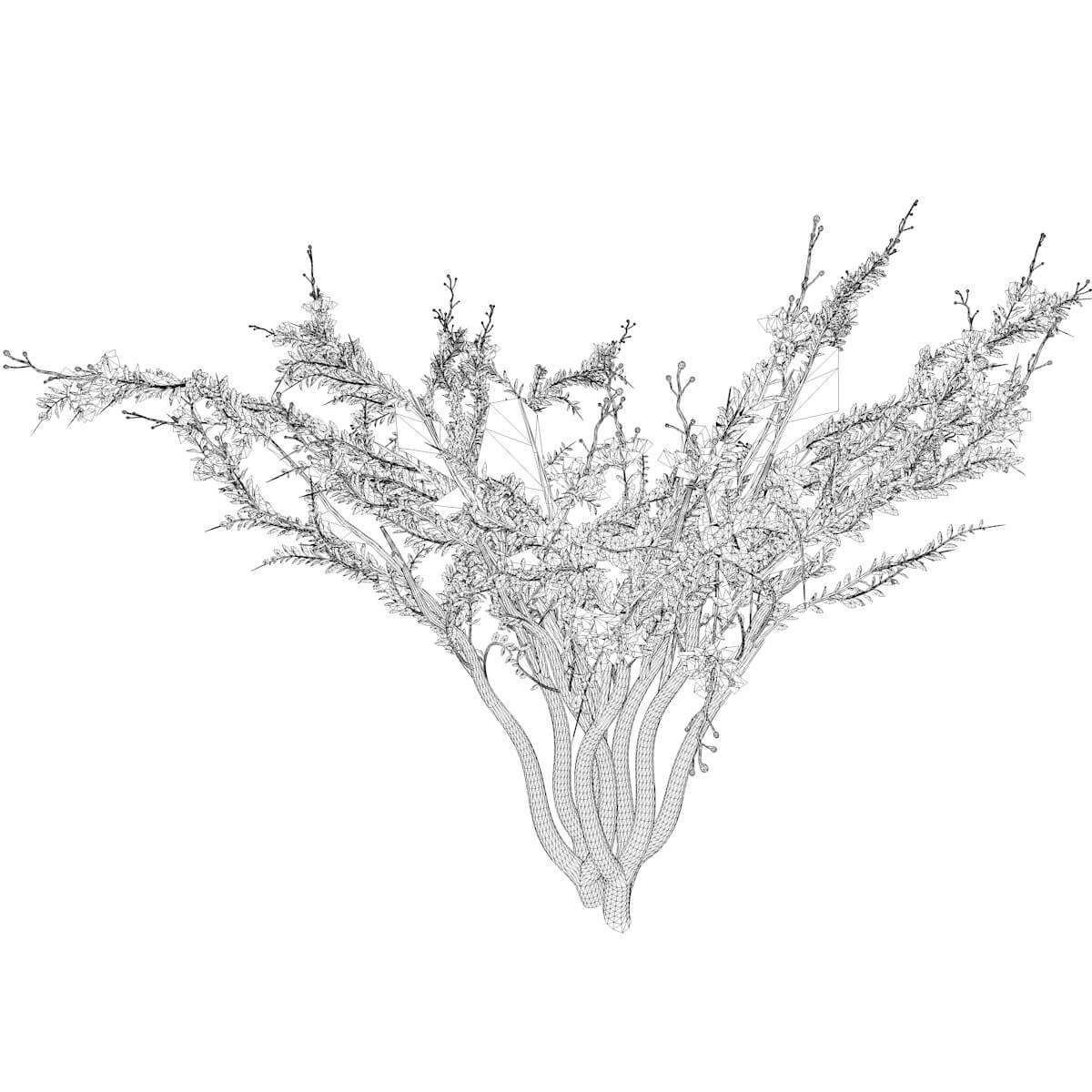 Crape Myrtle Tree #09 - 3D Model by AntonioKowatsch
