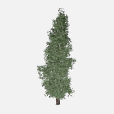 Eastern Red Cedar Tree #04 - 3D Model by AntonioKowatsch