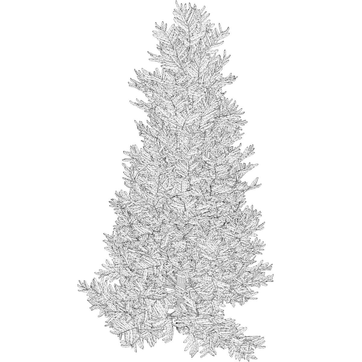 Fraser Fir Tree Collection by AntonioKowatsch