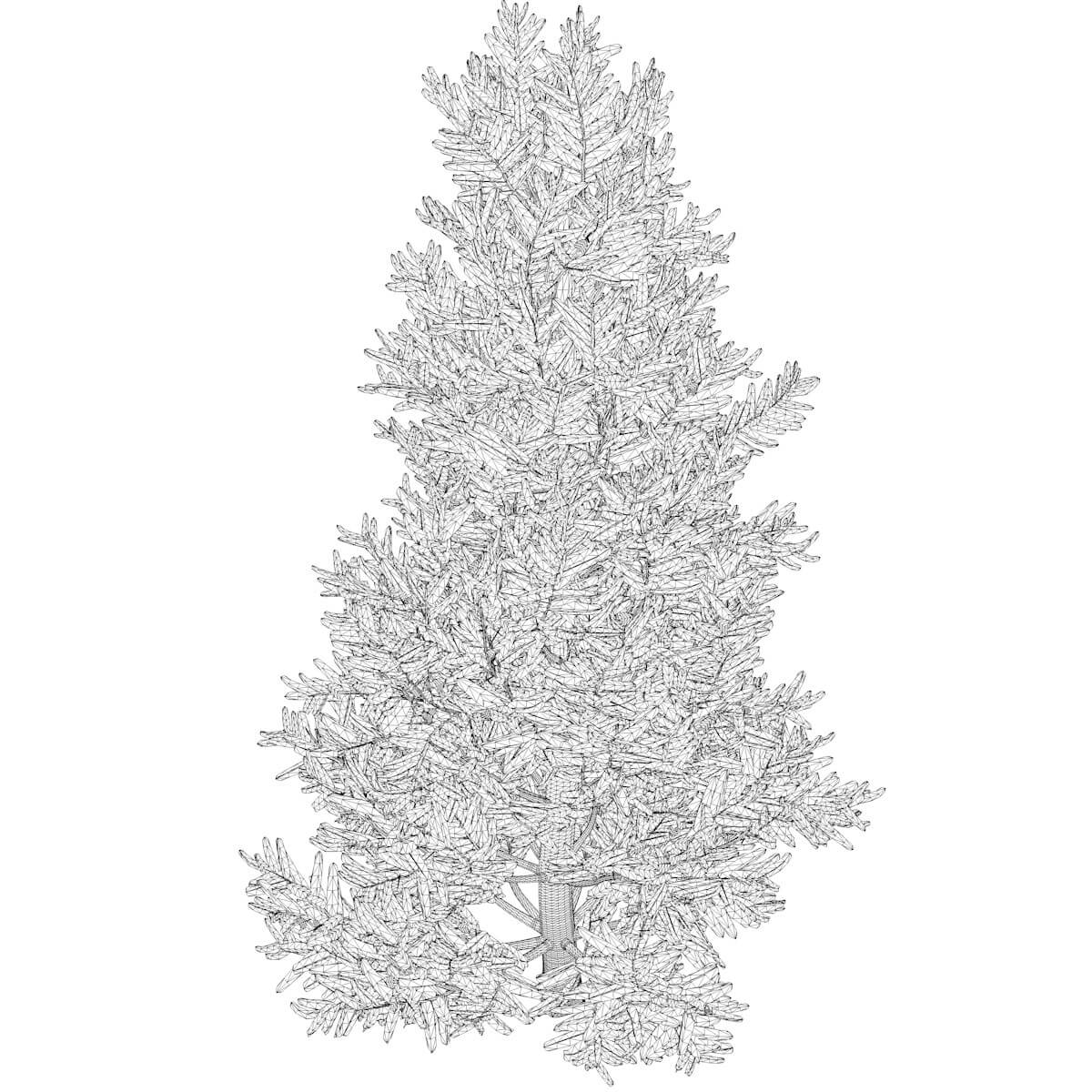 Fraser Fir Tree Collection by AntonioKowatsch