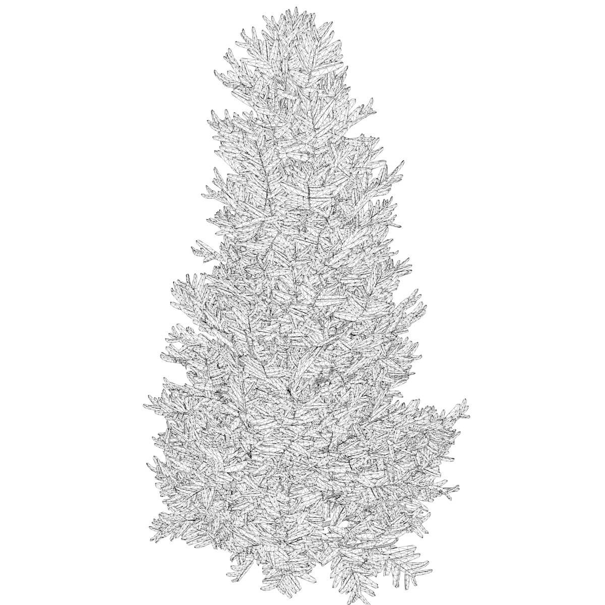 Fraser Fir Tree Collection by AntonioKowatsch