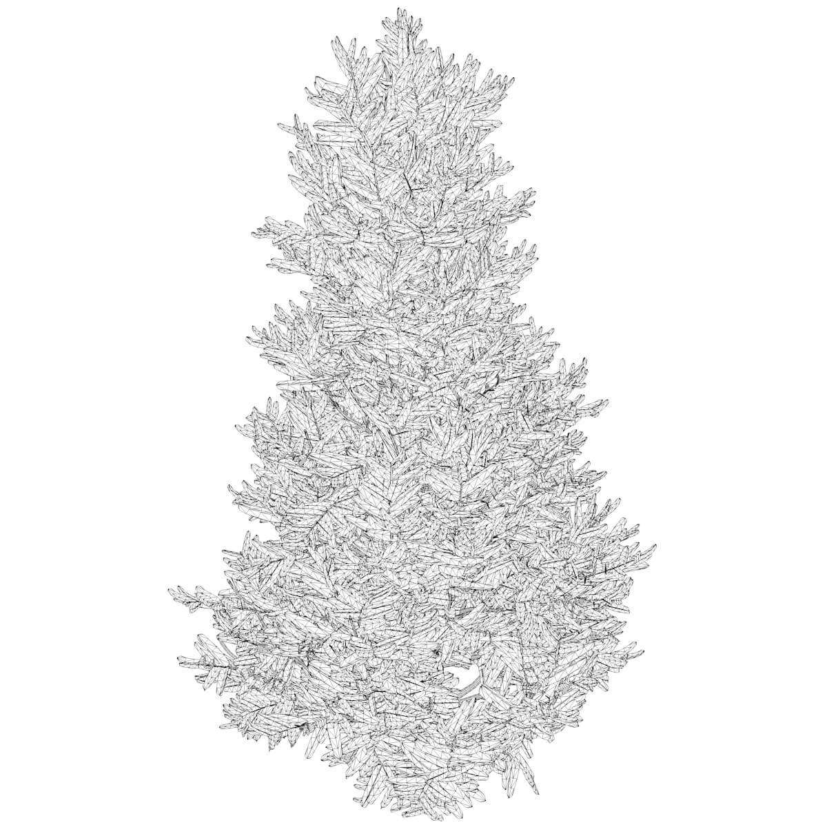 Fraser Fir Tree Collection by AntonioKowatsch