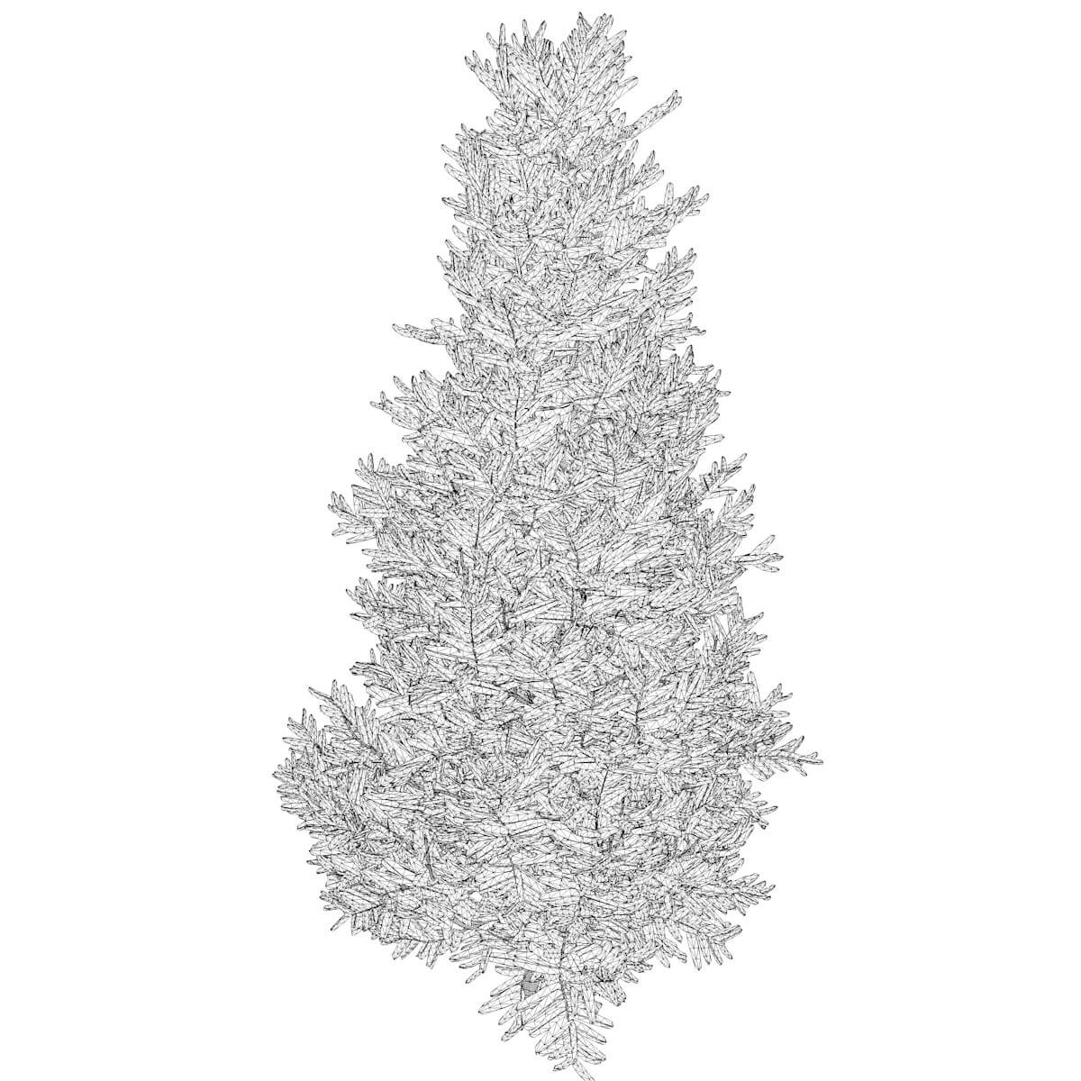 Fraser Fir Tree #10 - 3D Model by AntonioKowatsch