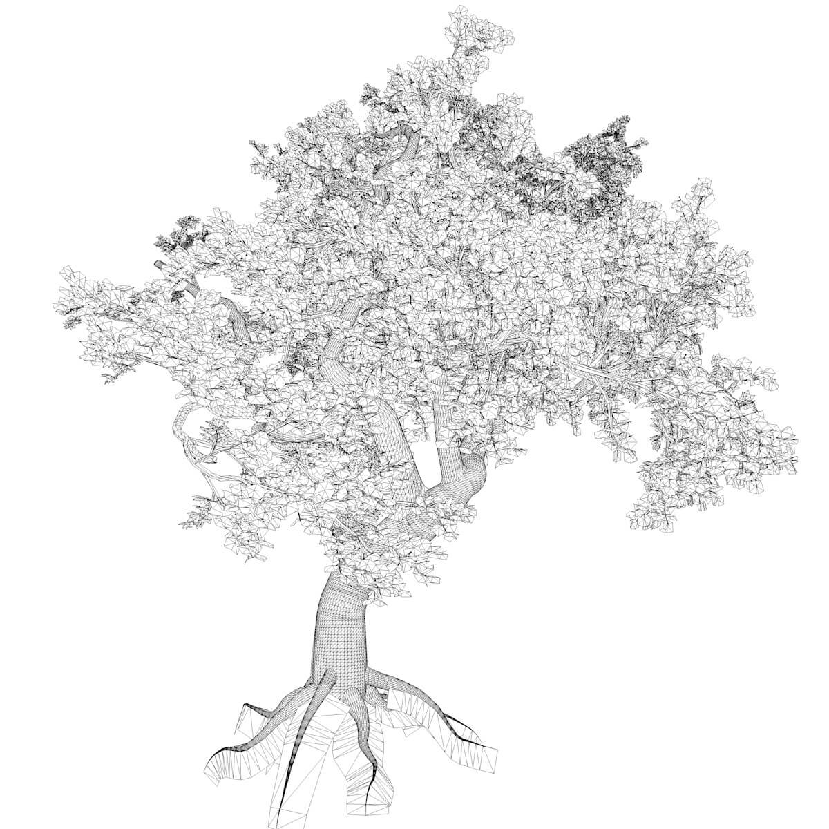 Japanese Maple Tree #04 - 3D Model by AntonioKowatsch