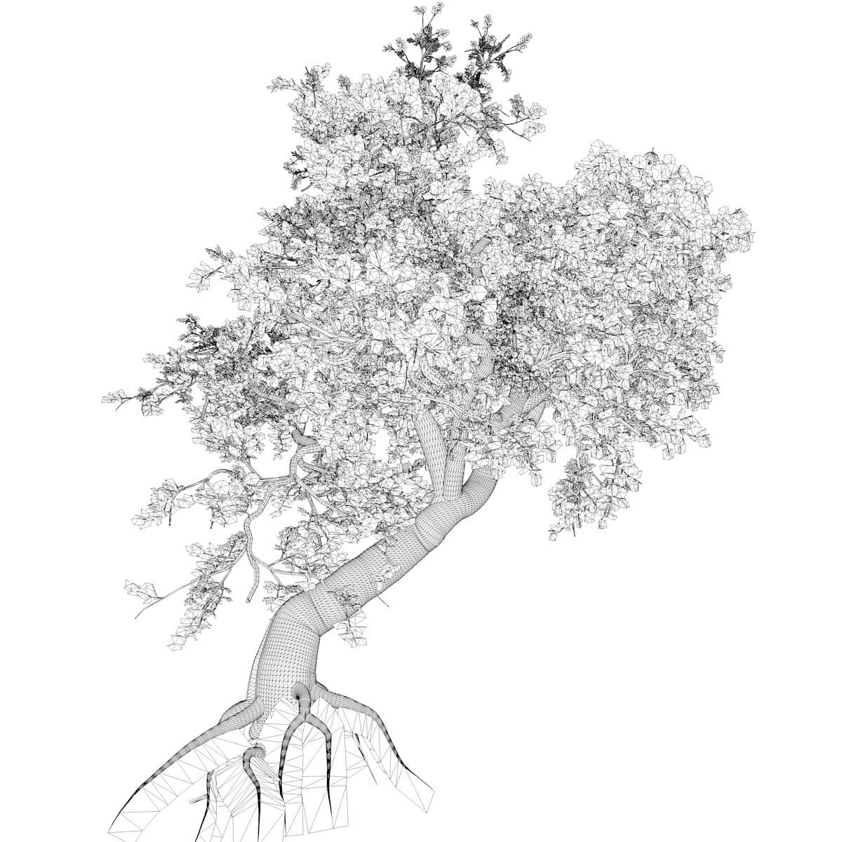 Japanese Maple Tree #05 - 3D Model by AntonioKowatsch