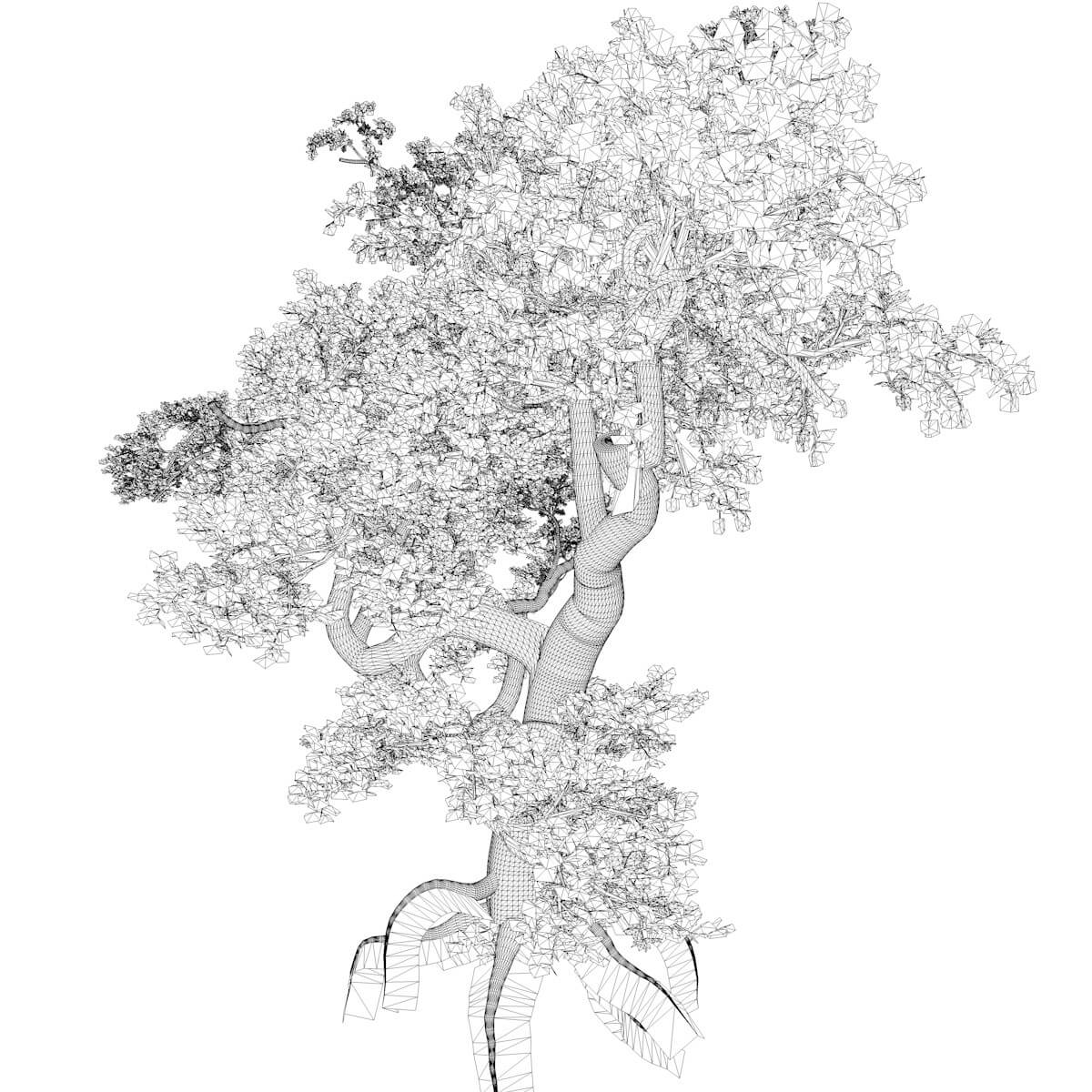 Japanese Maple Tree #07 - 3D Model by AntonioKowatsch