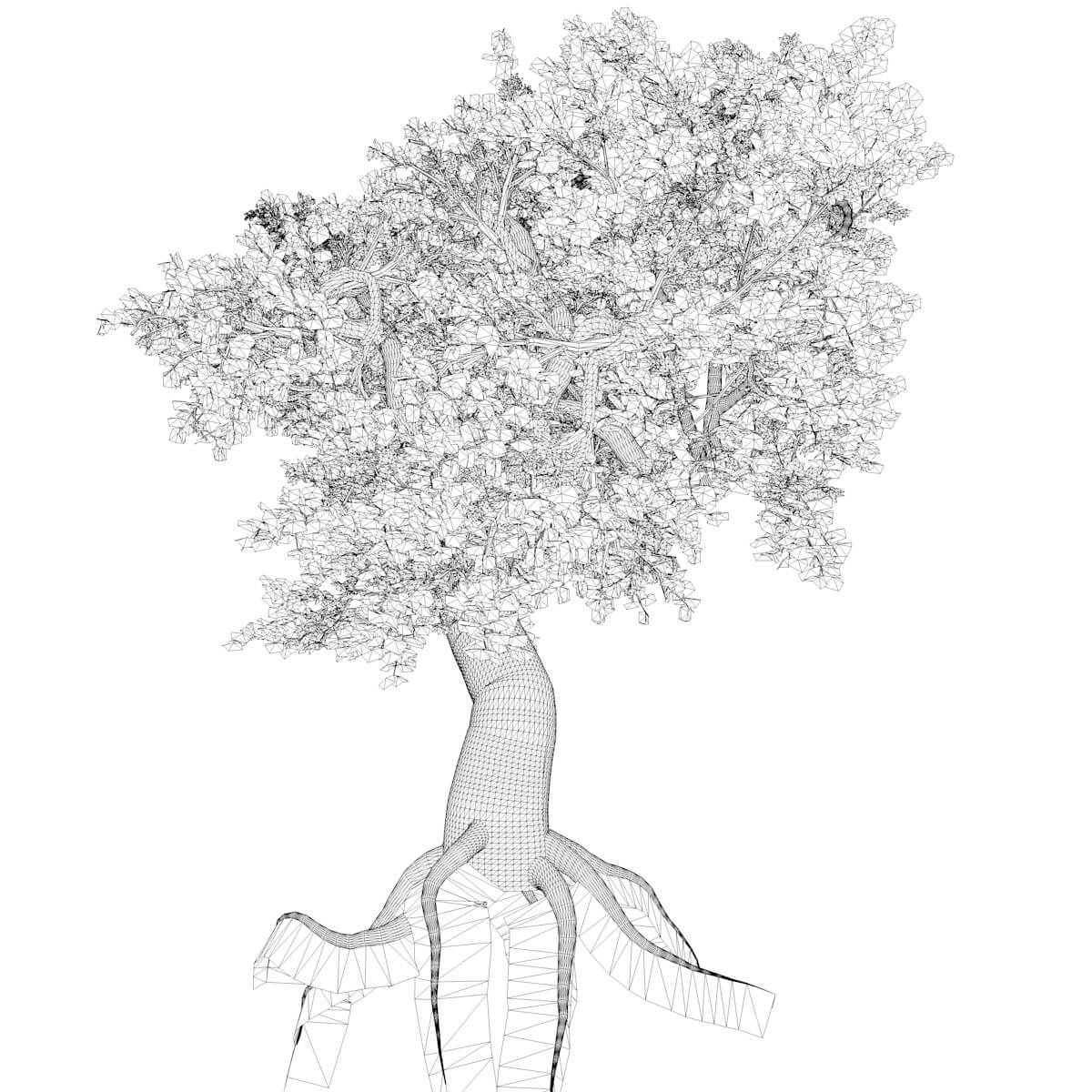 Japanese Maple Tree #08 - 3D Model by AntonioKowatsch