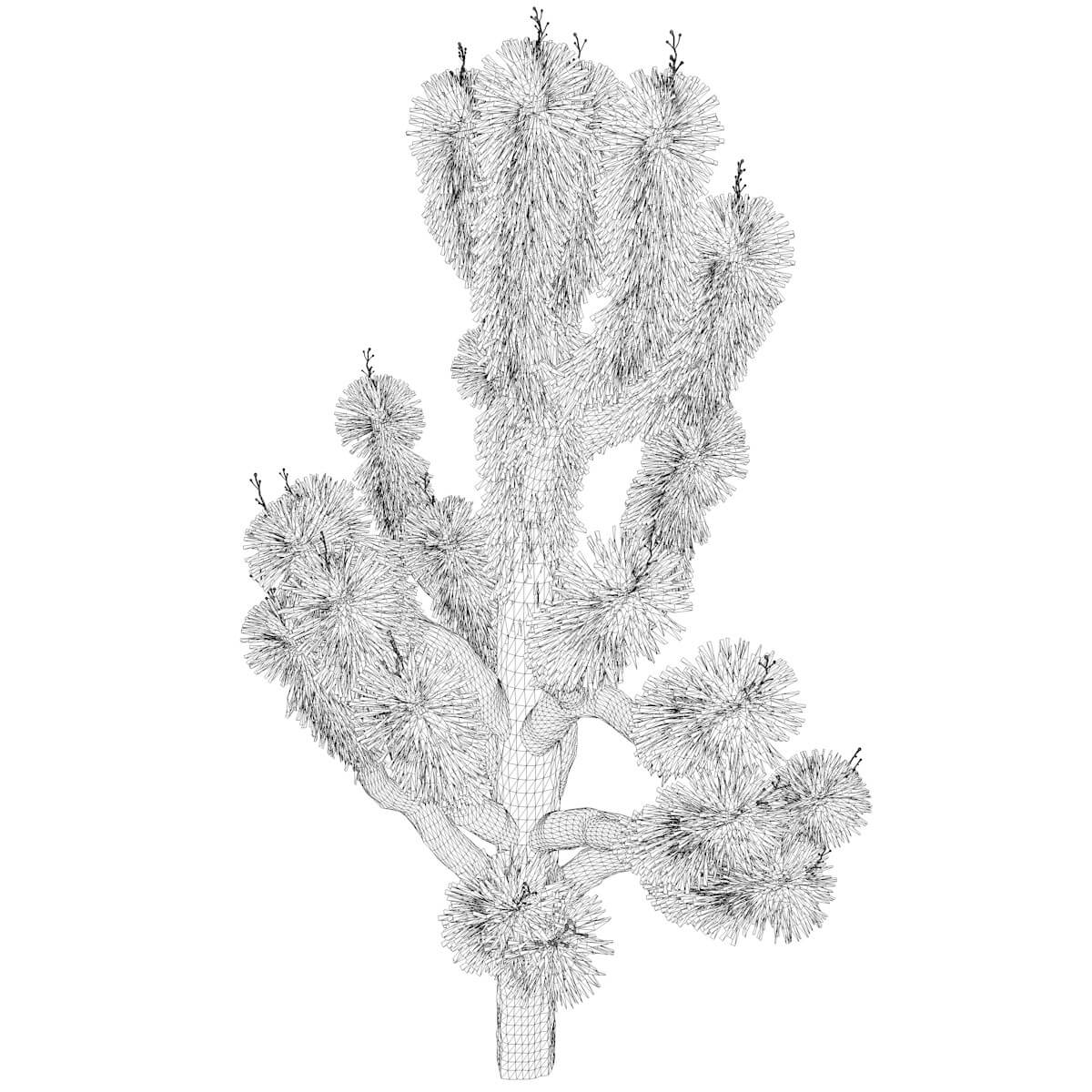 Joshua Tree #01 - 3D Model by AntonioKowatsch