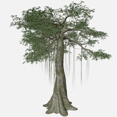 Kapok Tree #04 - 3D Model by AntonioKowatsch